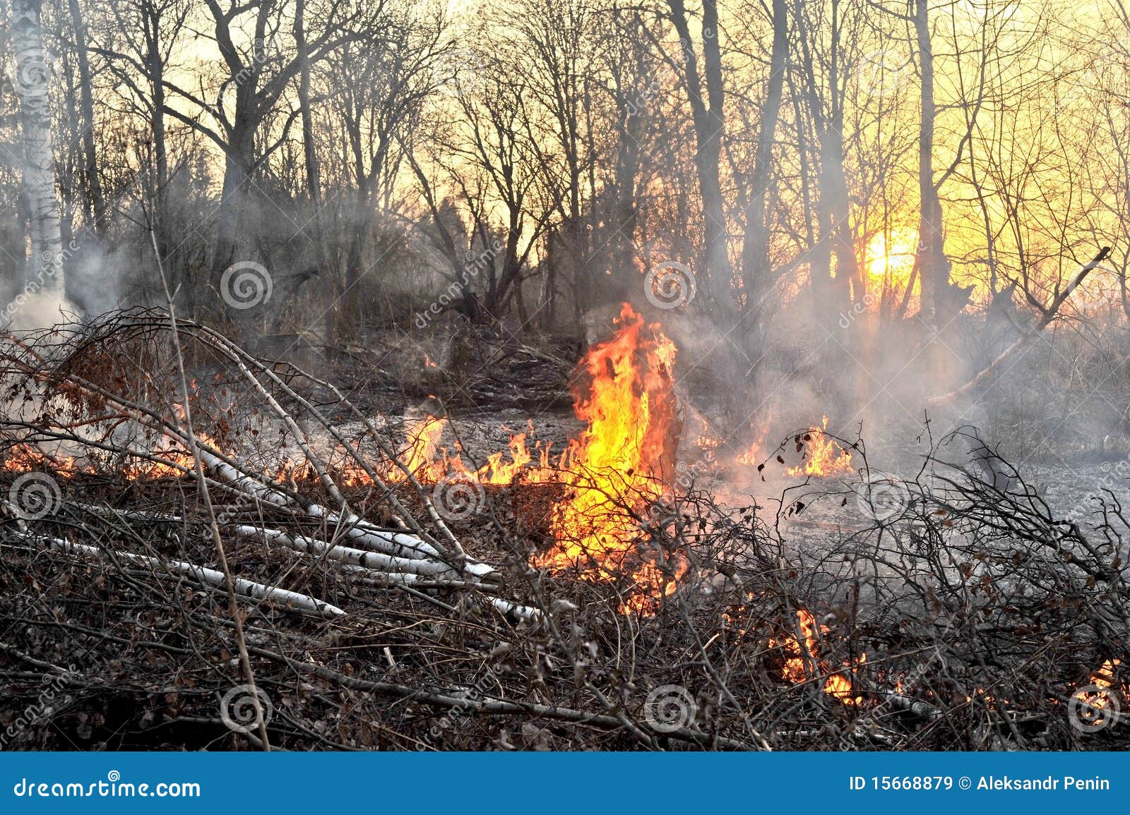 Bushfire stock image. Image of night, burning, natural - 15668879
