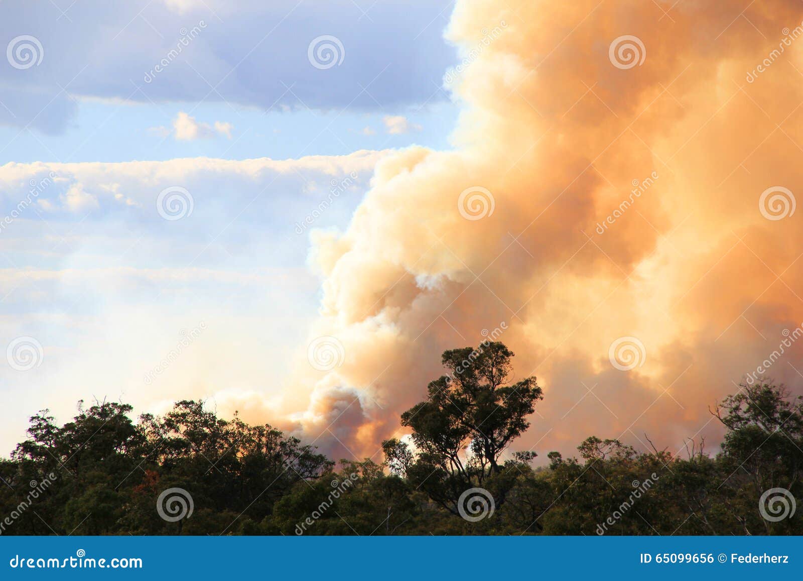 Bushfire stock photo. Image of smoke, landscape, clouds - 65099656