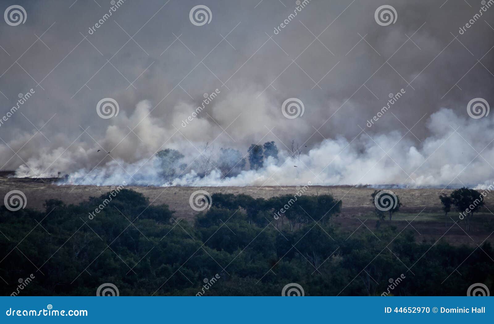 Bushfire Australia 2 stock photo. Image of wind, bush - 44652970