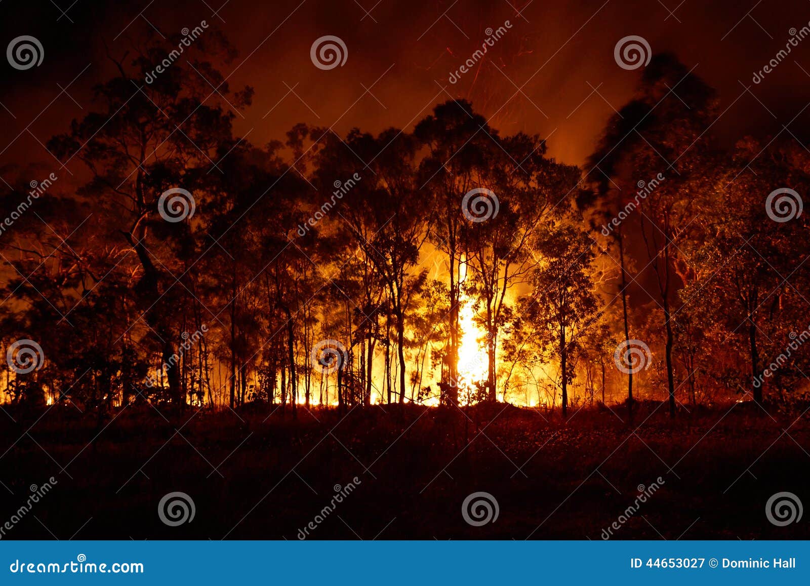 Bushfire Australia 4 stock image. Image of smoked, bush - 44653027