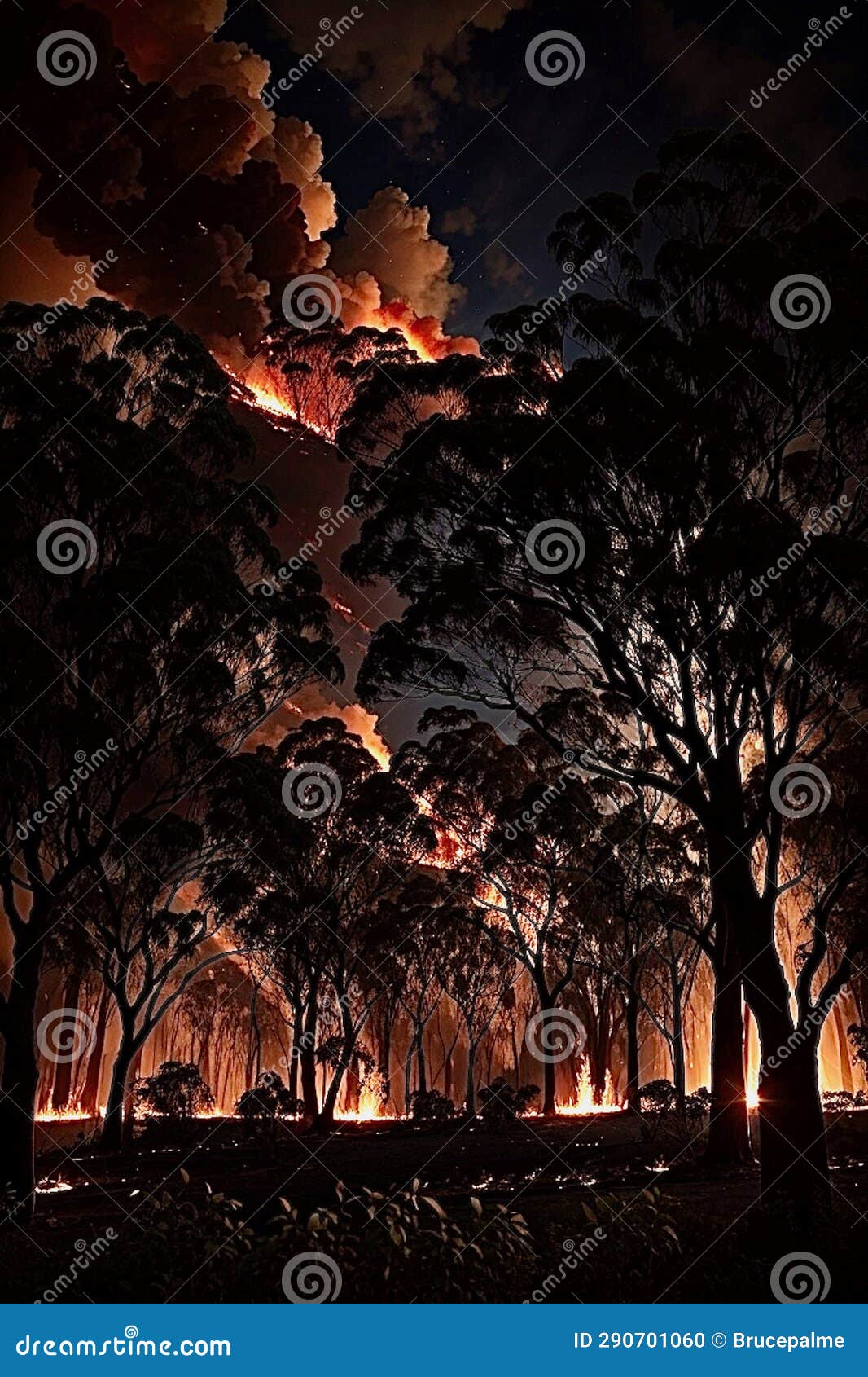A Bushfire in the Australian Summer. AI Generated Stock Photo - Image ...
