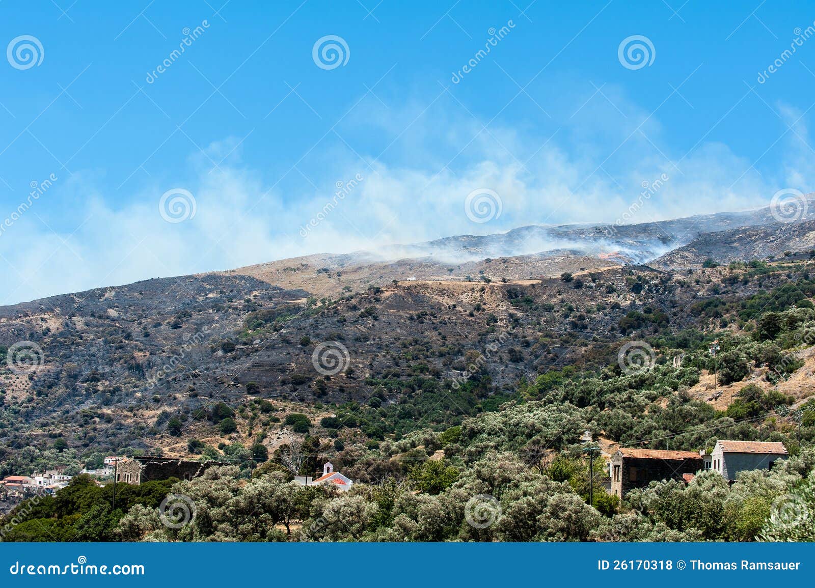 Bushfire on Crete stock photo. Image of water, fighting - 26170318