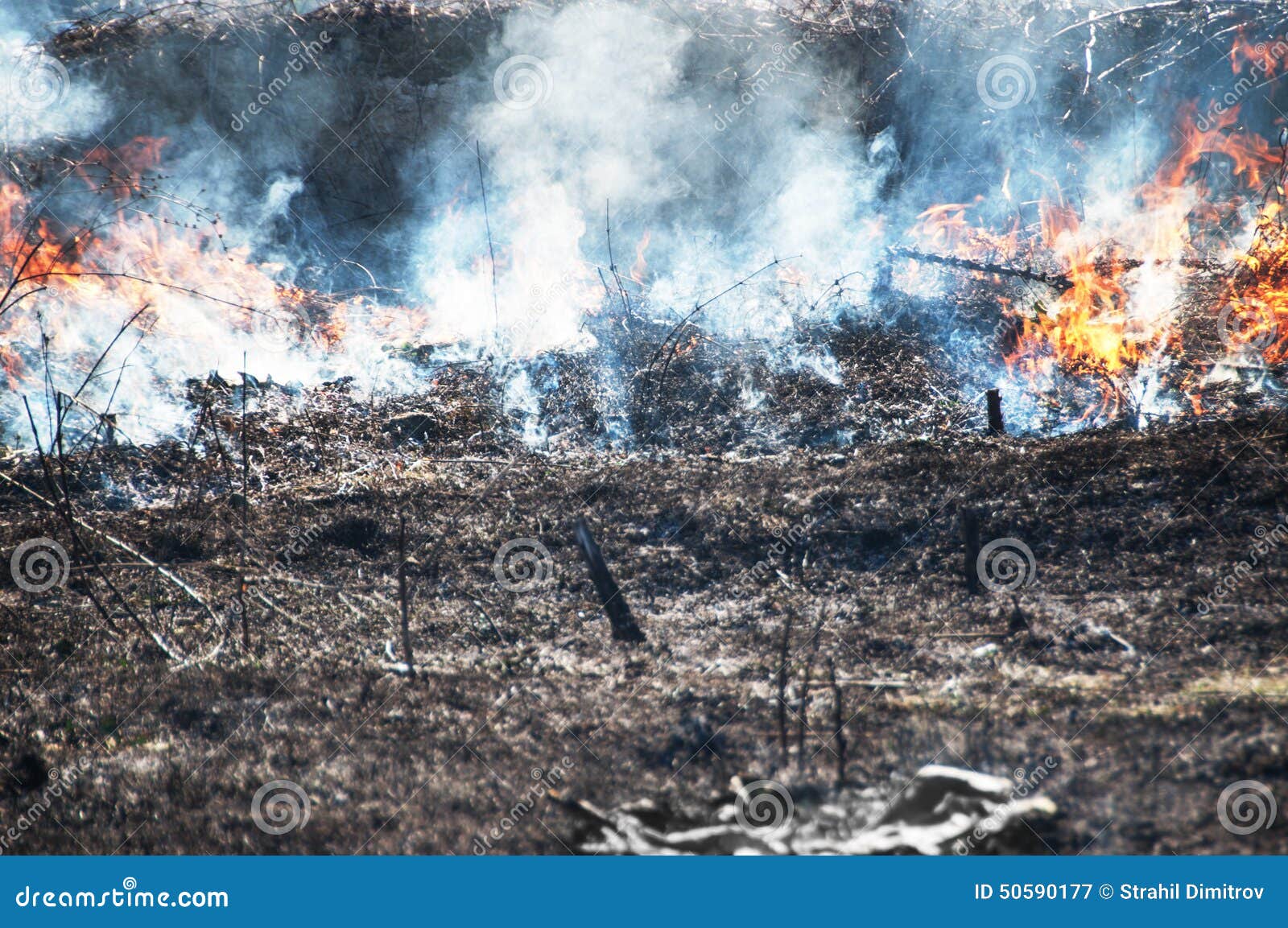 Bushfire stock image. Image of climate, flame, damage - 50590177