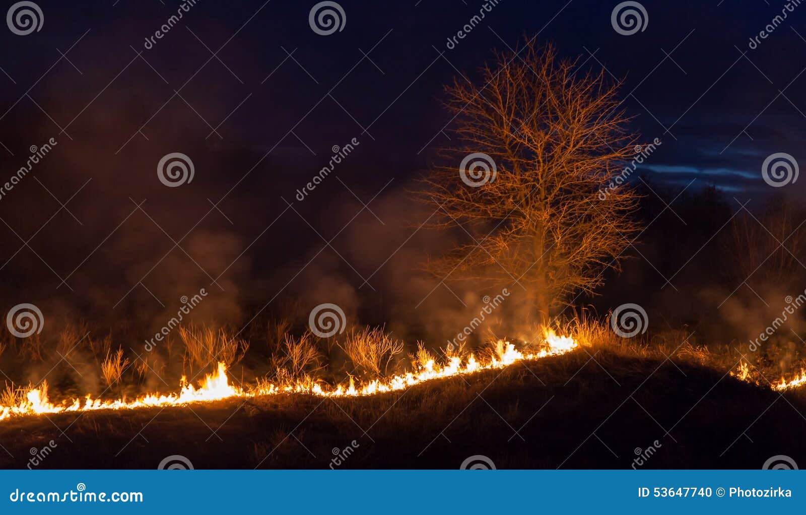 Bushfire at night stock photo. Image of blue, ablaze - 53647740