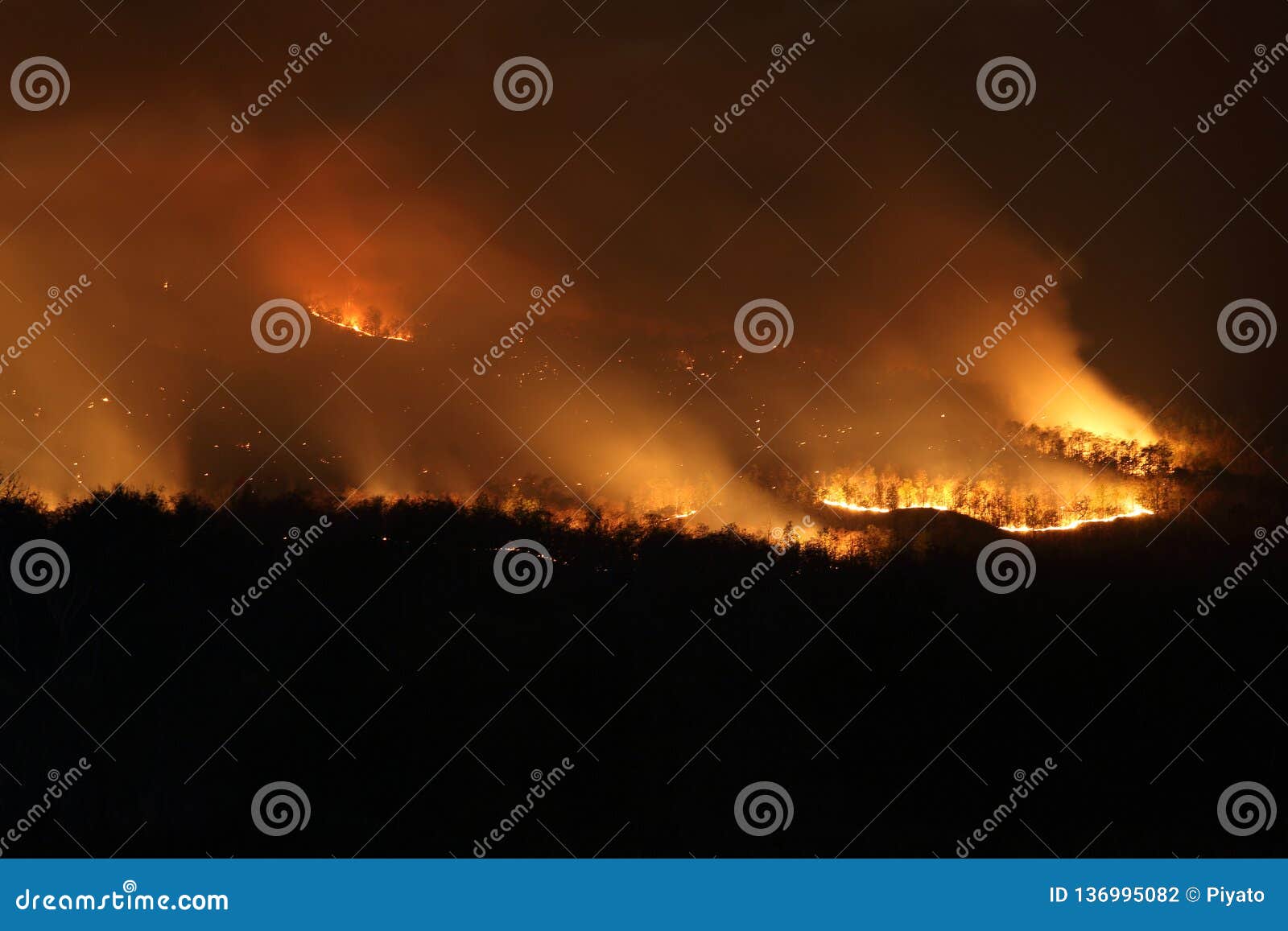 Bushfire Wildfire at night stock photo. Image of burnt - 136995082