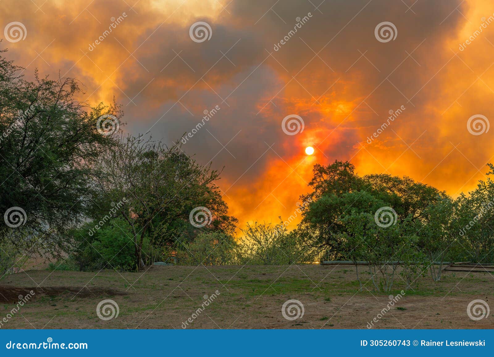 Bushfires on the Kwando River, Zambezi Region, Namibia Stock Image ...