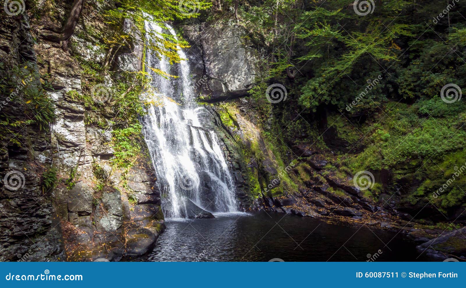 Bushkill Falls stock image. Image of green, forest, pennsylvania - 60087511