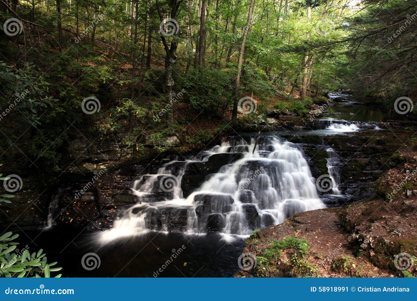 Bushkill Falls, Pennsylvania, USA Stock Image - Image of foliage, green ...