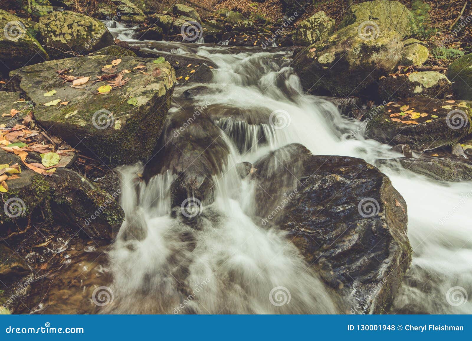 Bushkill Falls in Poconos, PA, Surrounded by Lush Fall Foliage Stock ...