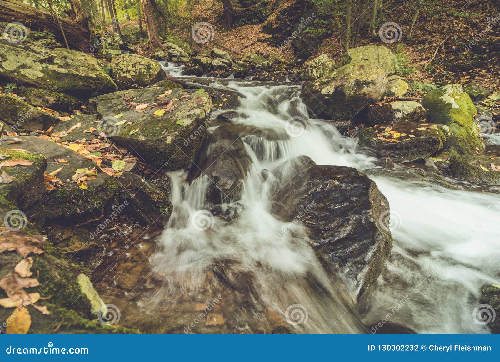 Bushkill Falls in Poconos, PA, Surrounded by Lush Fall Foliage Stock ...