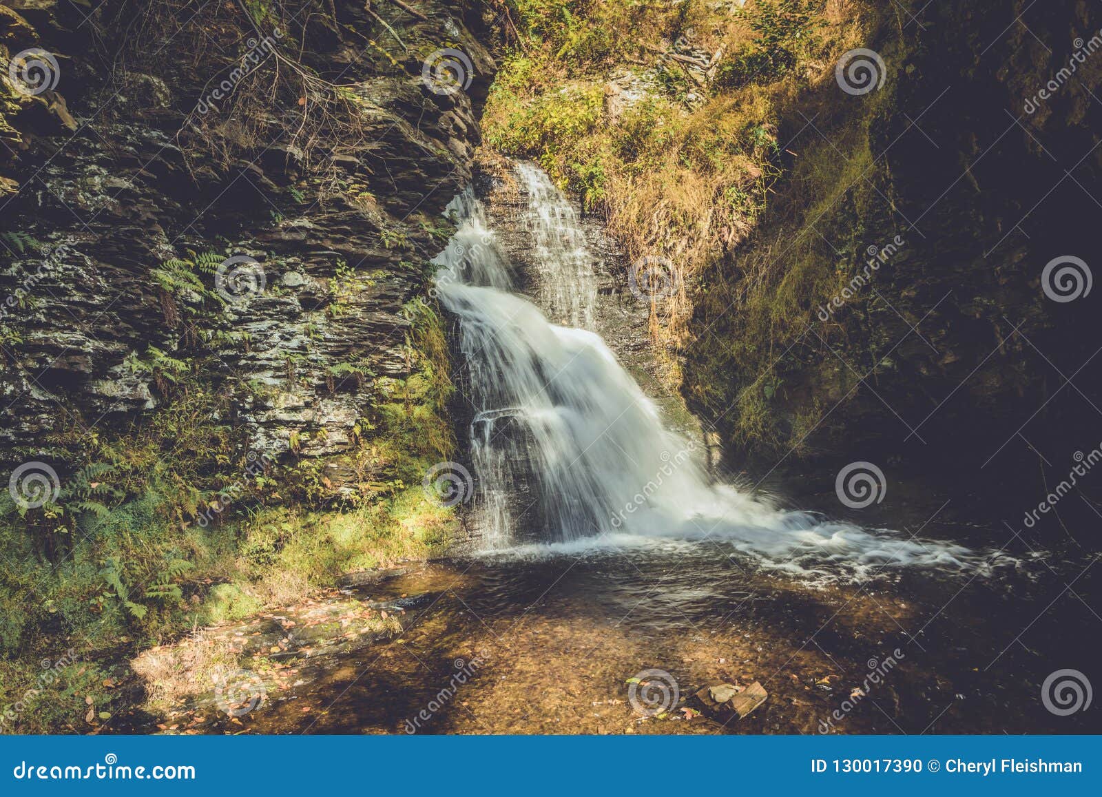 Bushkill Falls in Poconos, PA, Surrounded by Lush Fall Foliage Stock ...