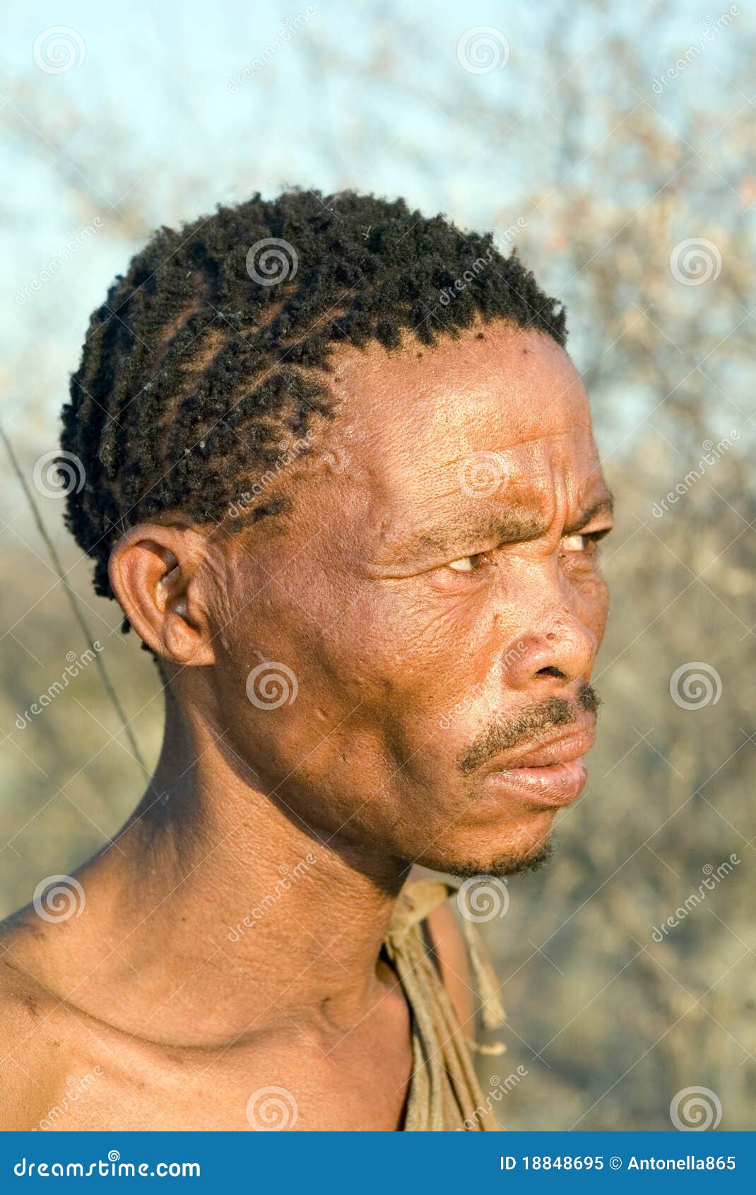 Bushman editorial image. Image of ancient, kalahari, dance - 18848695