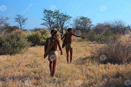 Bushman editorial stock photo. Image of africa, tribal - 26444908