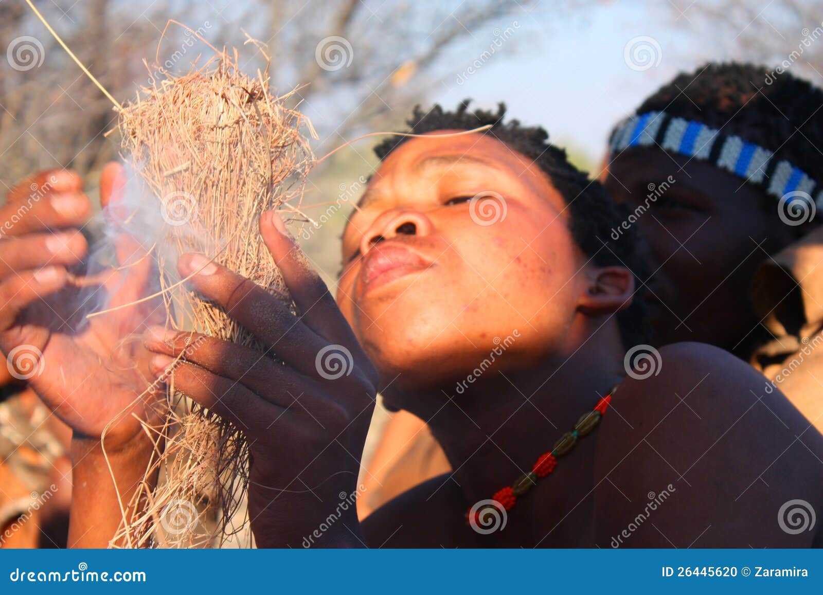 Bushman editorial image. Image of originally, ethnic - 26445620