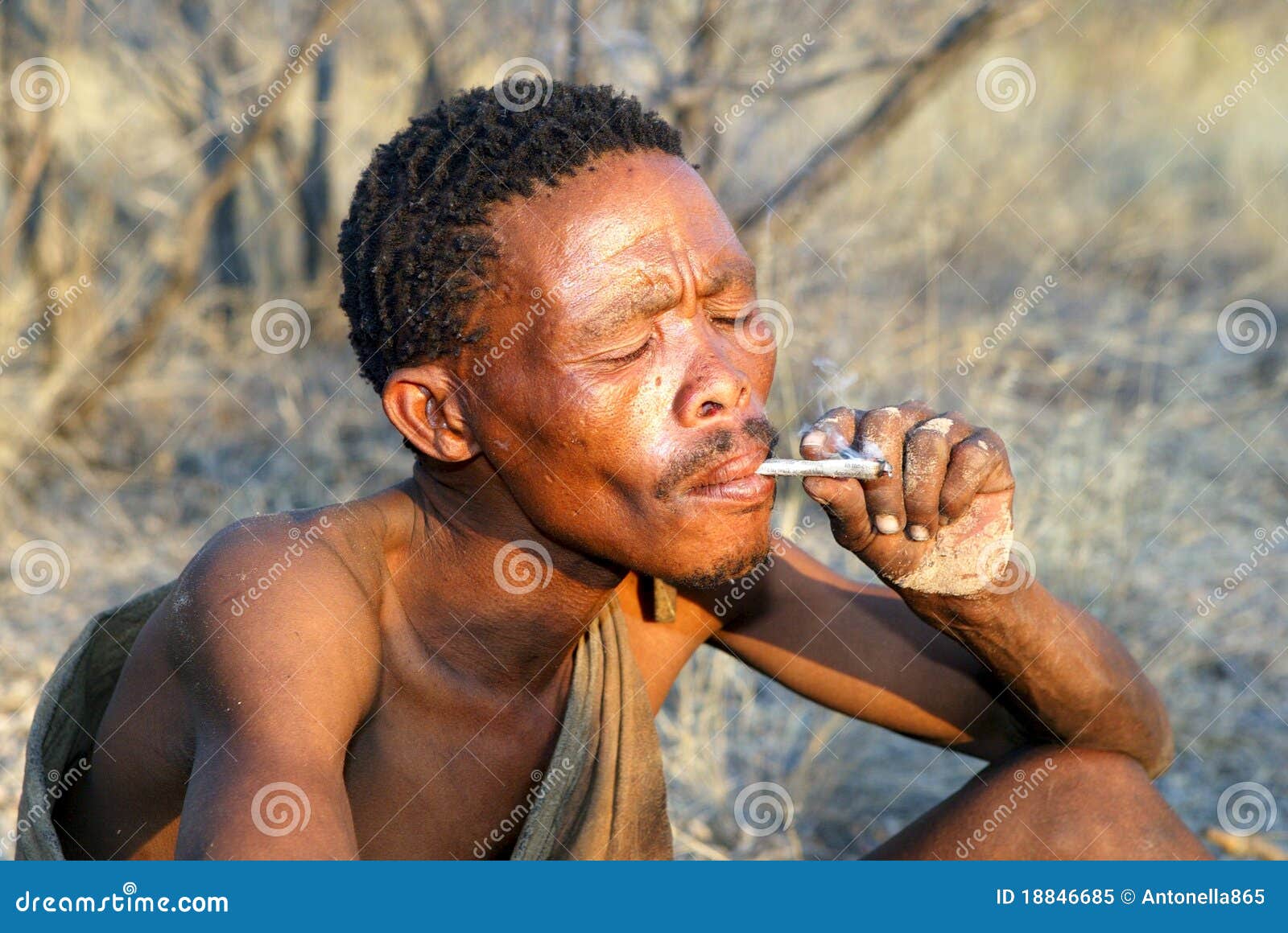 Bushman with cigarette editorial image. Image of wild - 18846685