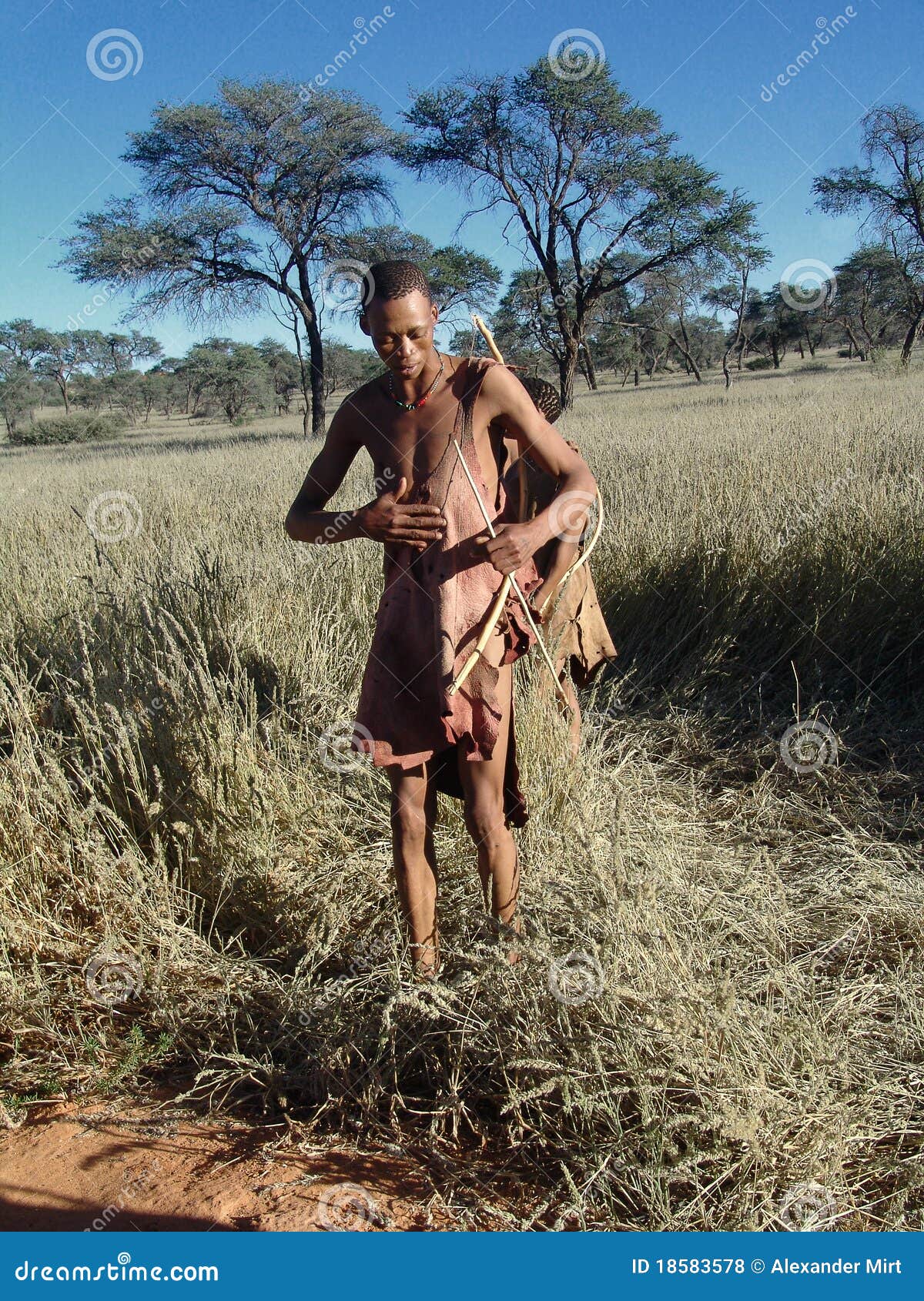 Bushmen Hunters in a Fields Search Editorial Stock Photo - Image of ...