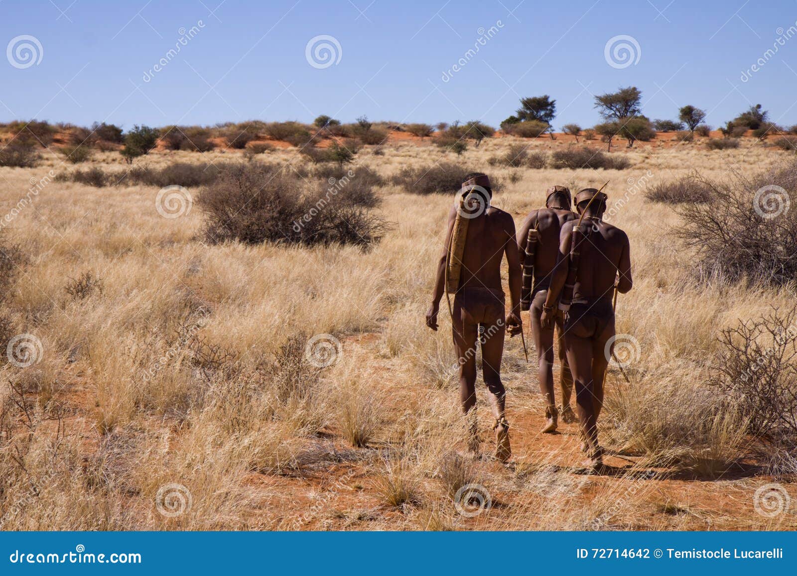 Bushmen in namibia editorial photography. Image of children - 72714642