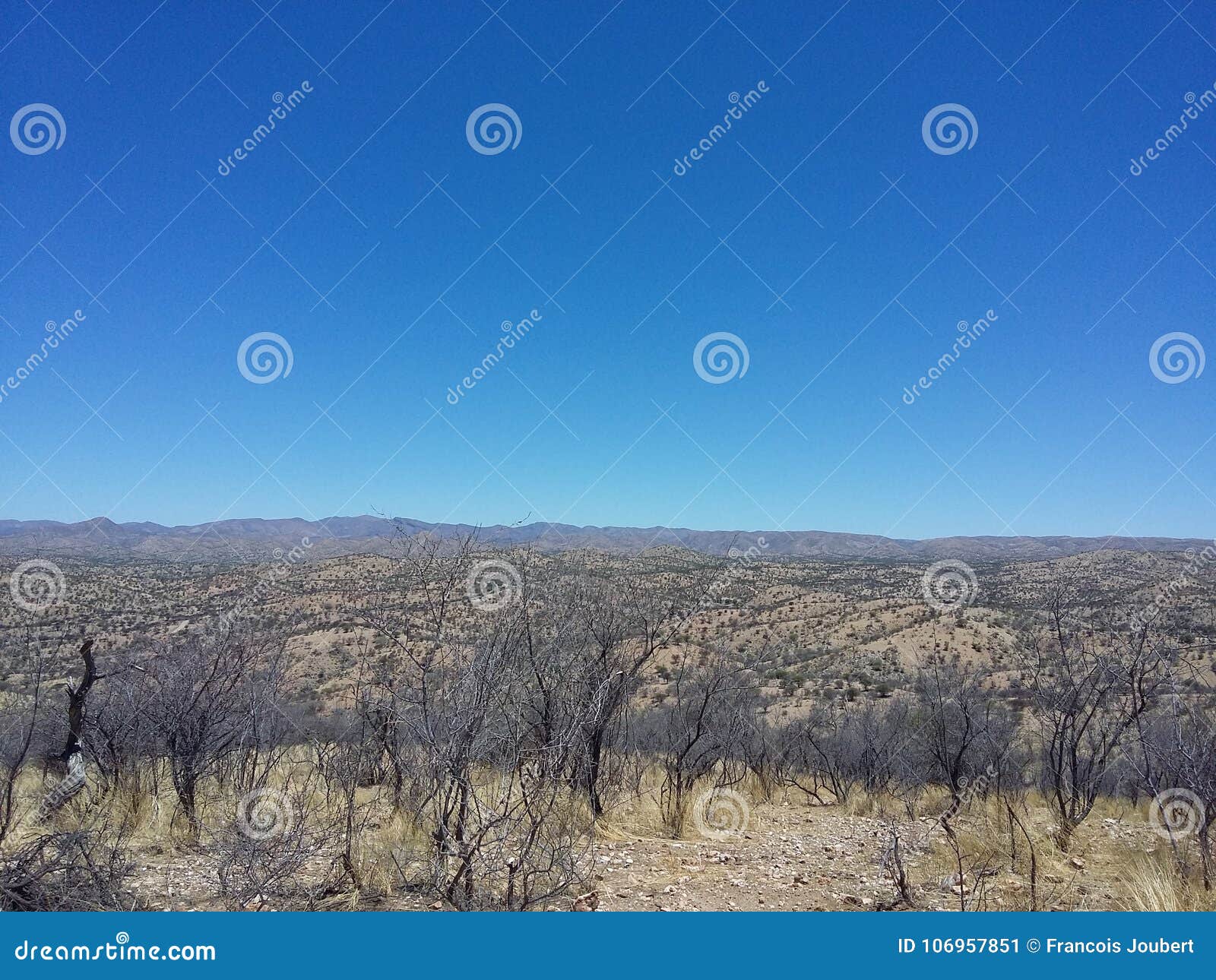 Bushveld stock image. Image of skye, nature, namibian - 106957851