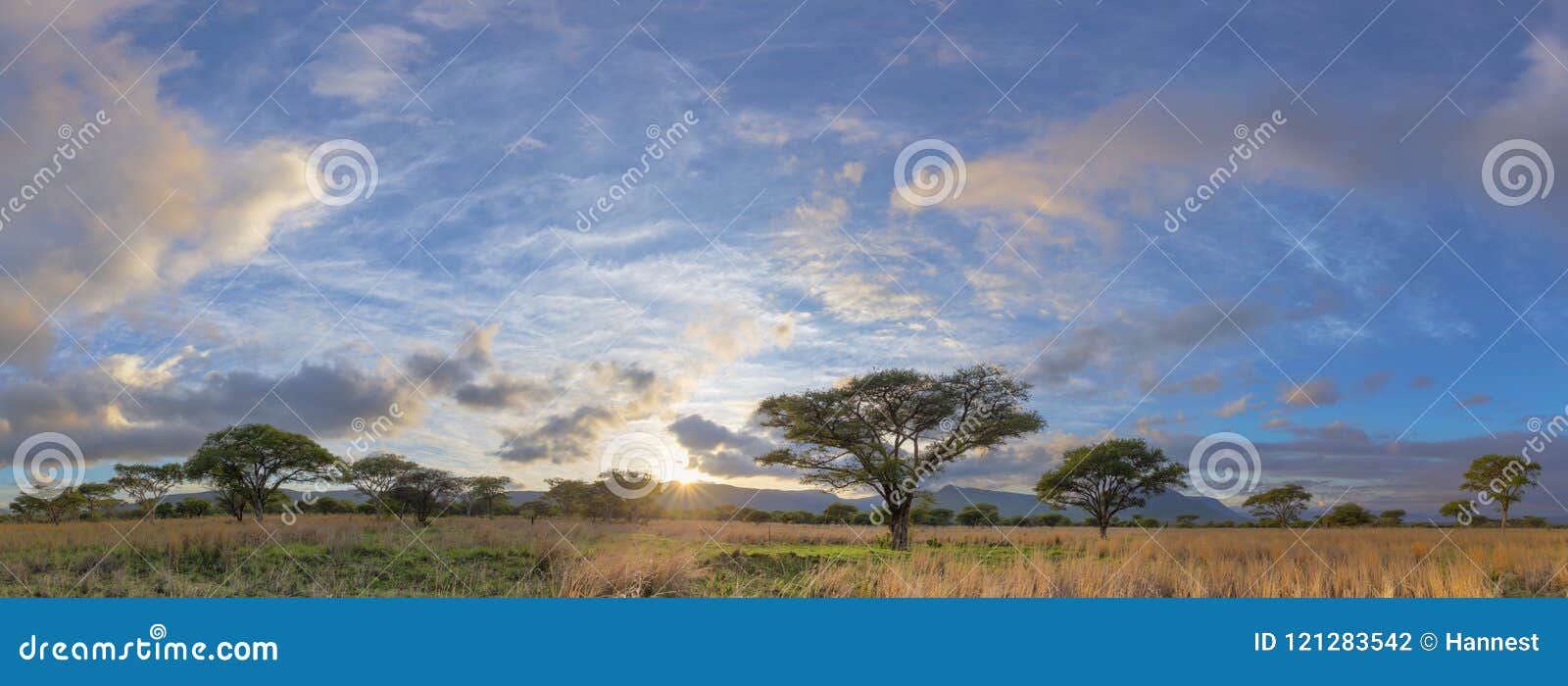 Bushveld Sunrise and Clouds Stock Photo - Image of africa, rocks: 121283542