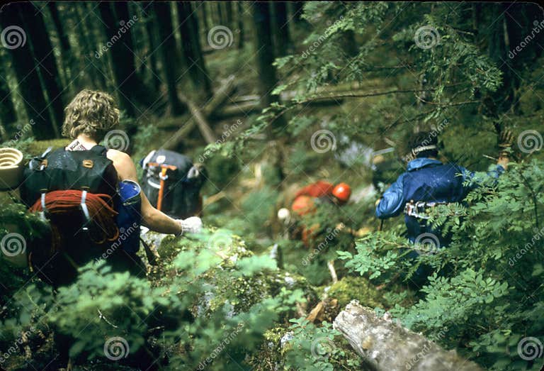 Bushwhacking stock photo. Image of trail, pack, hiker - 1812916