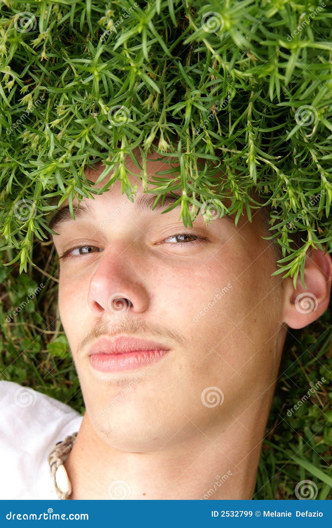 Bushy hair stock image. Image of puberty, outside, emotion - 2532799