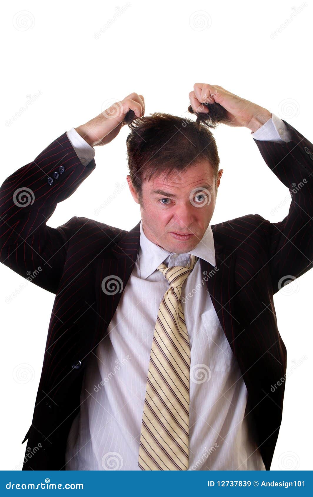 Businees Man Pulling Out Hair Stock Image - Image of hair, isolated ...
