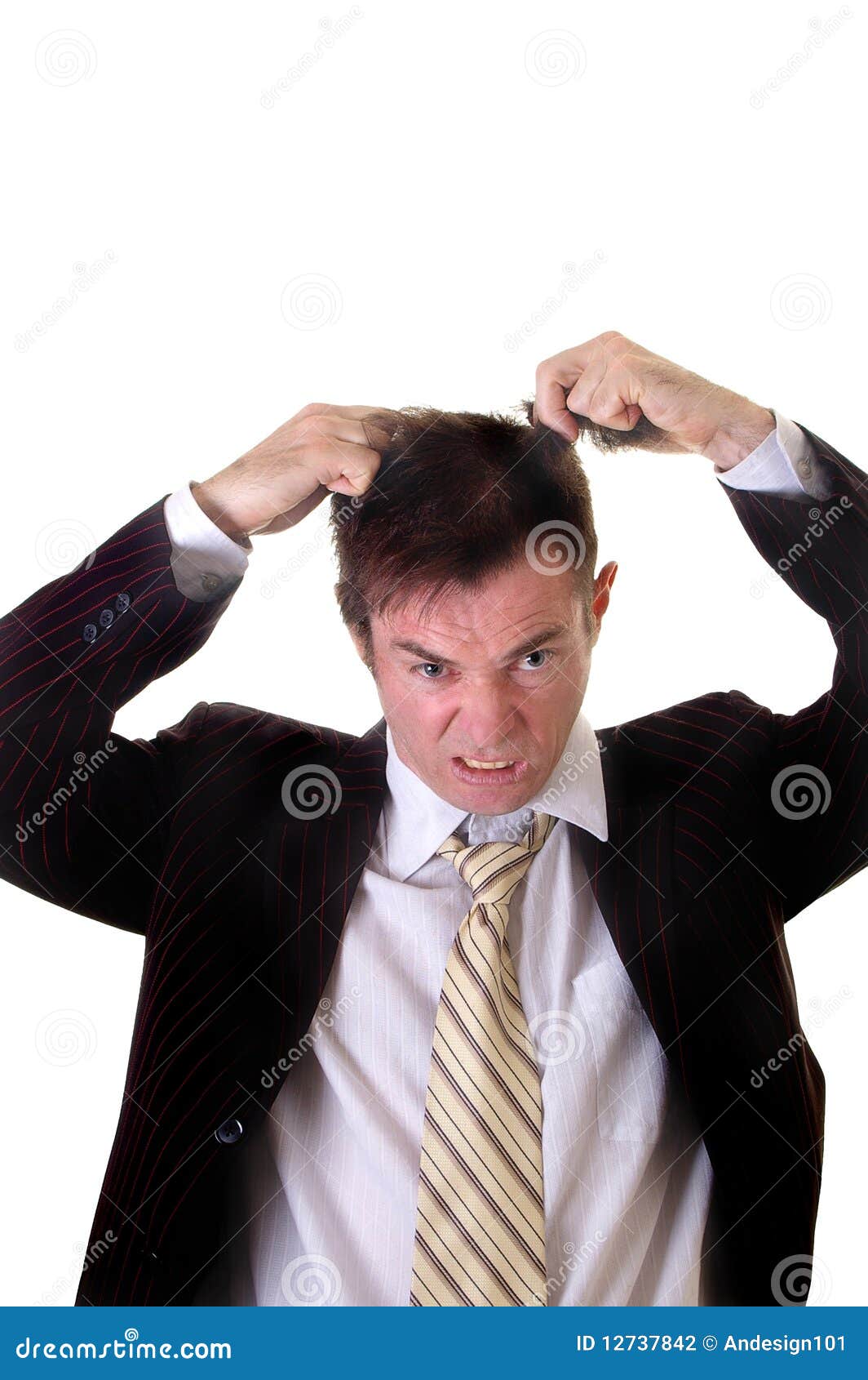 Businees Man Pulling Out Hair Stock Photo - Image of anguish ...