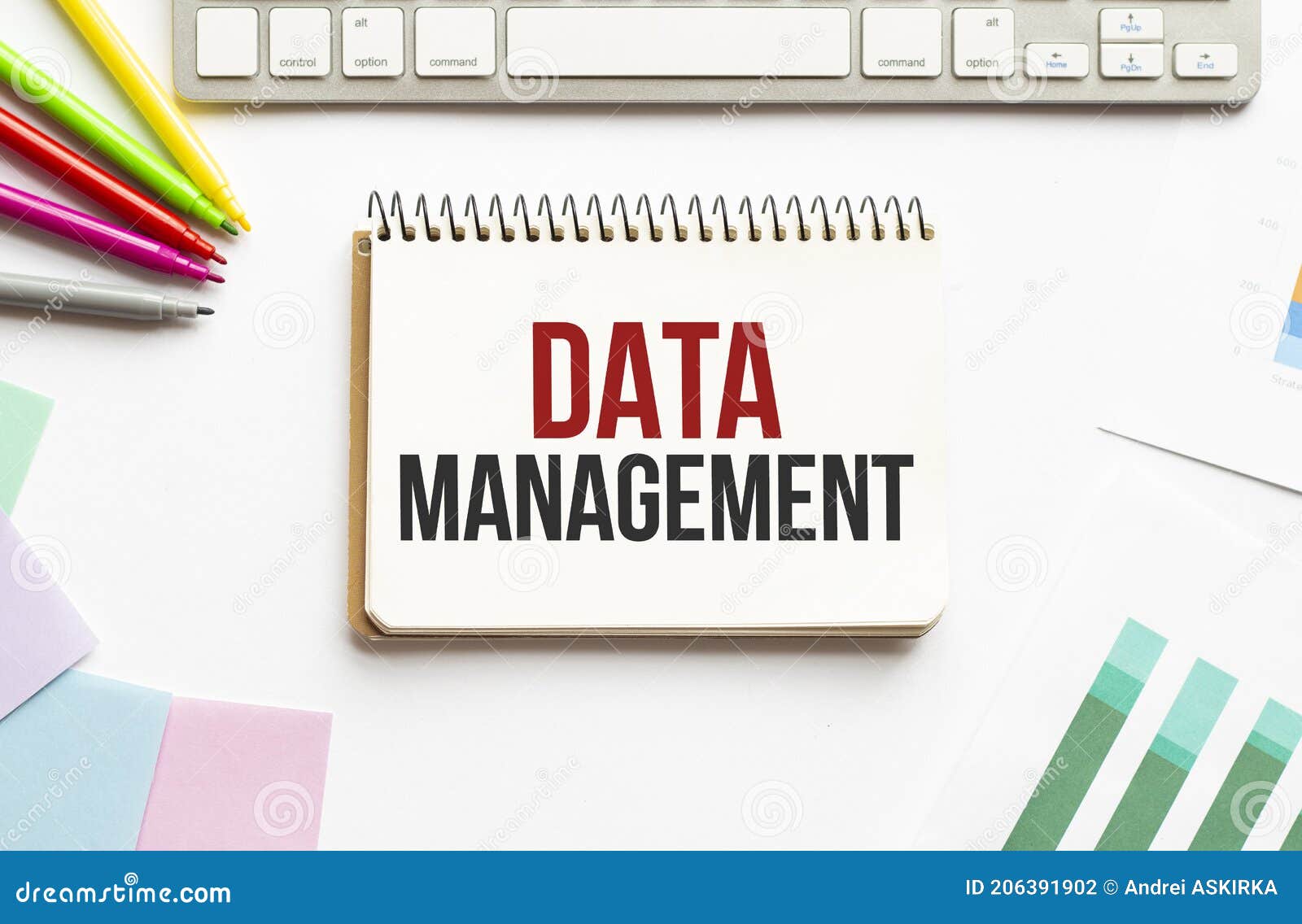 Businesman Hold Notepad with Text DATA MANAGEMENT . White Background ...