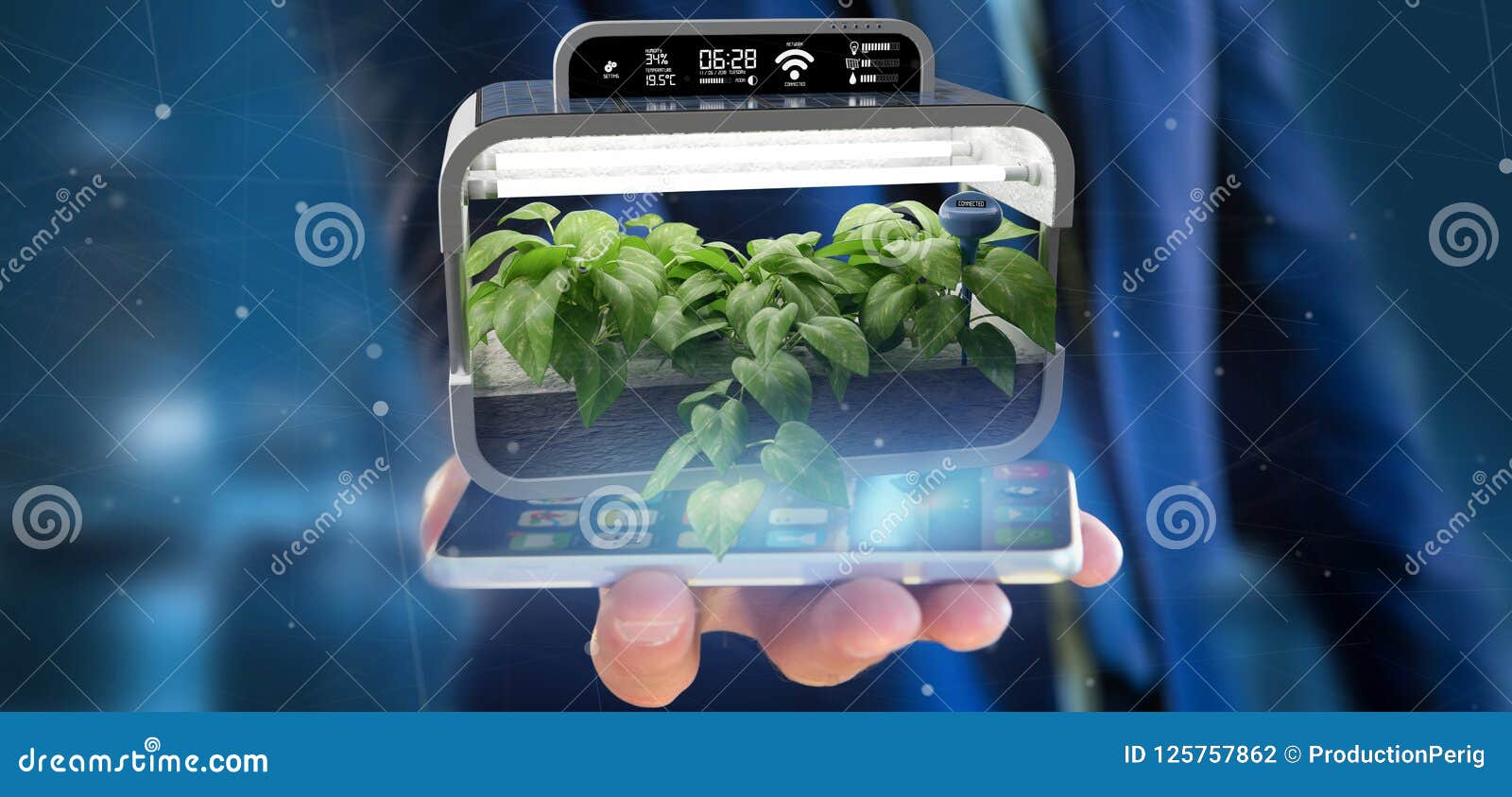 Businesmann Holding a Digital Vegetal Plant Connected Stock Photo ...