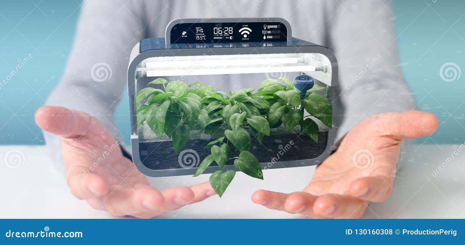 Businesmann Holding a Digital Vegetal Plant Connected Stock Photo ...