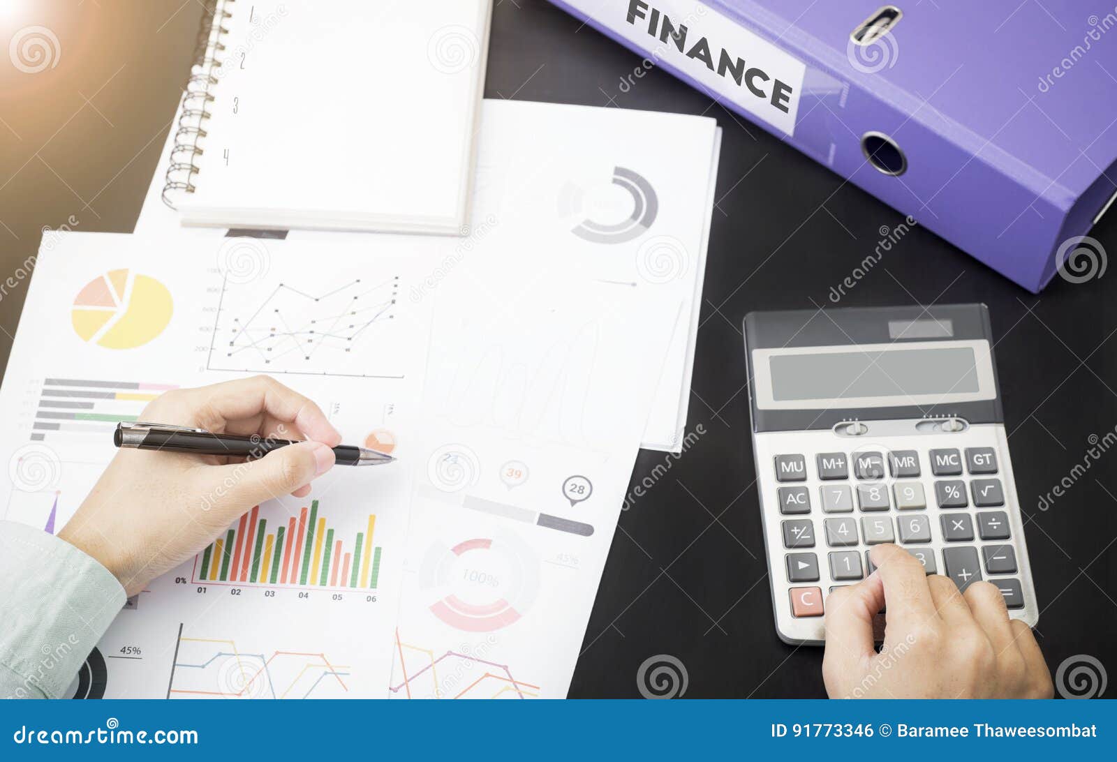 Business Accountants with Documents Graph Financial on Office Stock ...