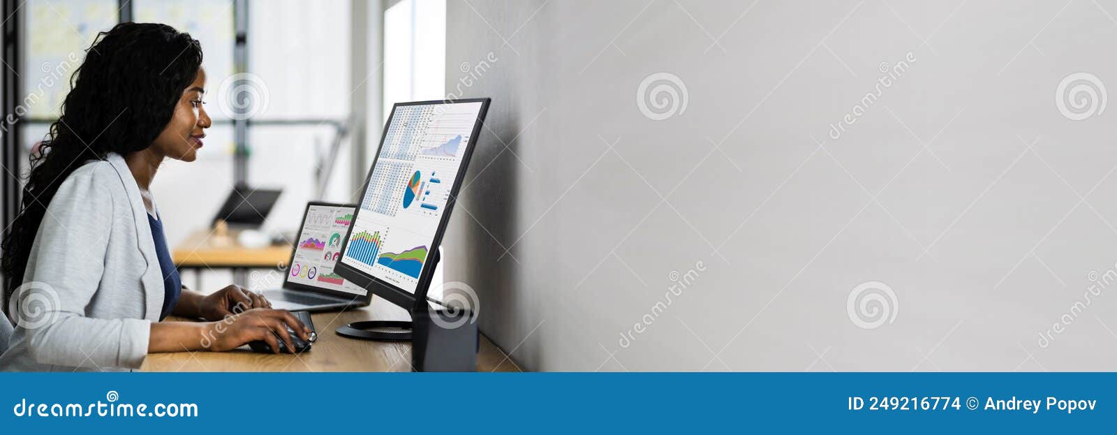 Business Analyst Woman stock photo. Image of graph, chart - 249216774