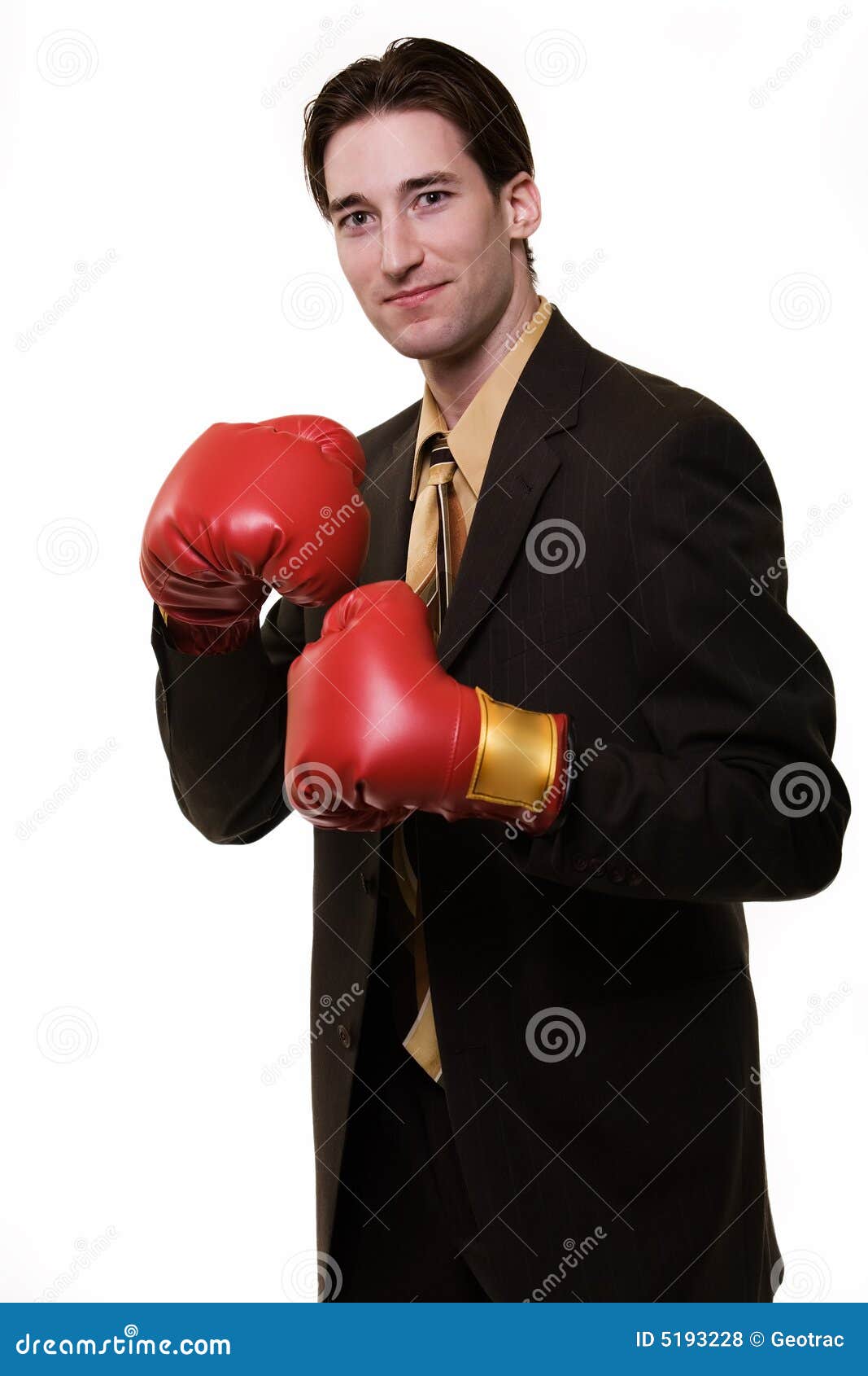 Business boxer stock photo. Image of work, gloves, lifestyle - 5193228