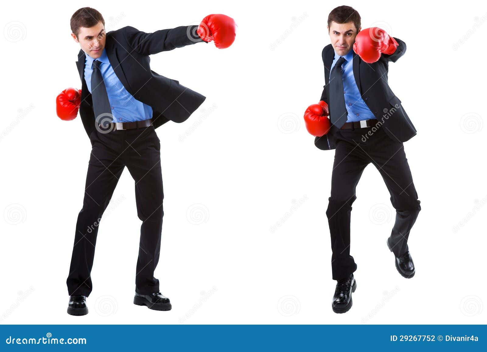 Business Boxing Isolated on White Stock Photo - Image of looking, glove ...