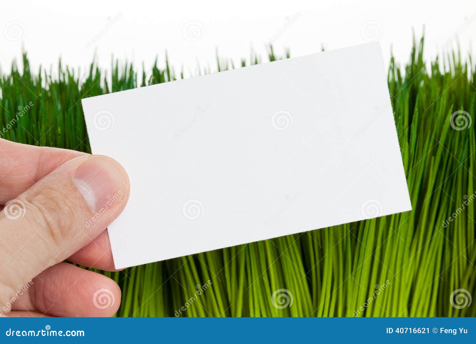 Business Card and Green Grass Stock Image - Image of lawn, plant: 40716621