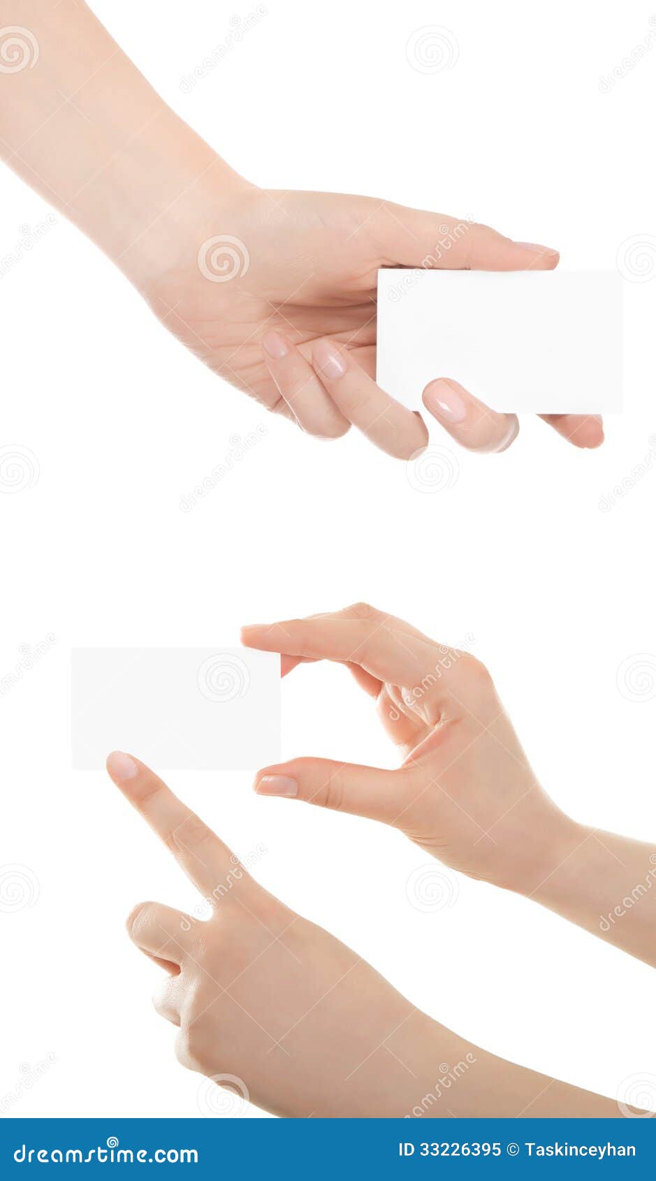 Business Card in Woman Hand Stock Image - Image of commercial, closeup ...