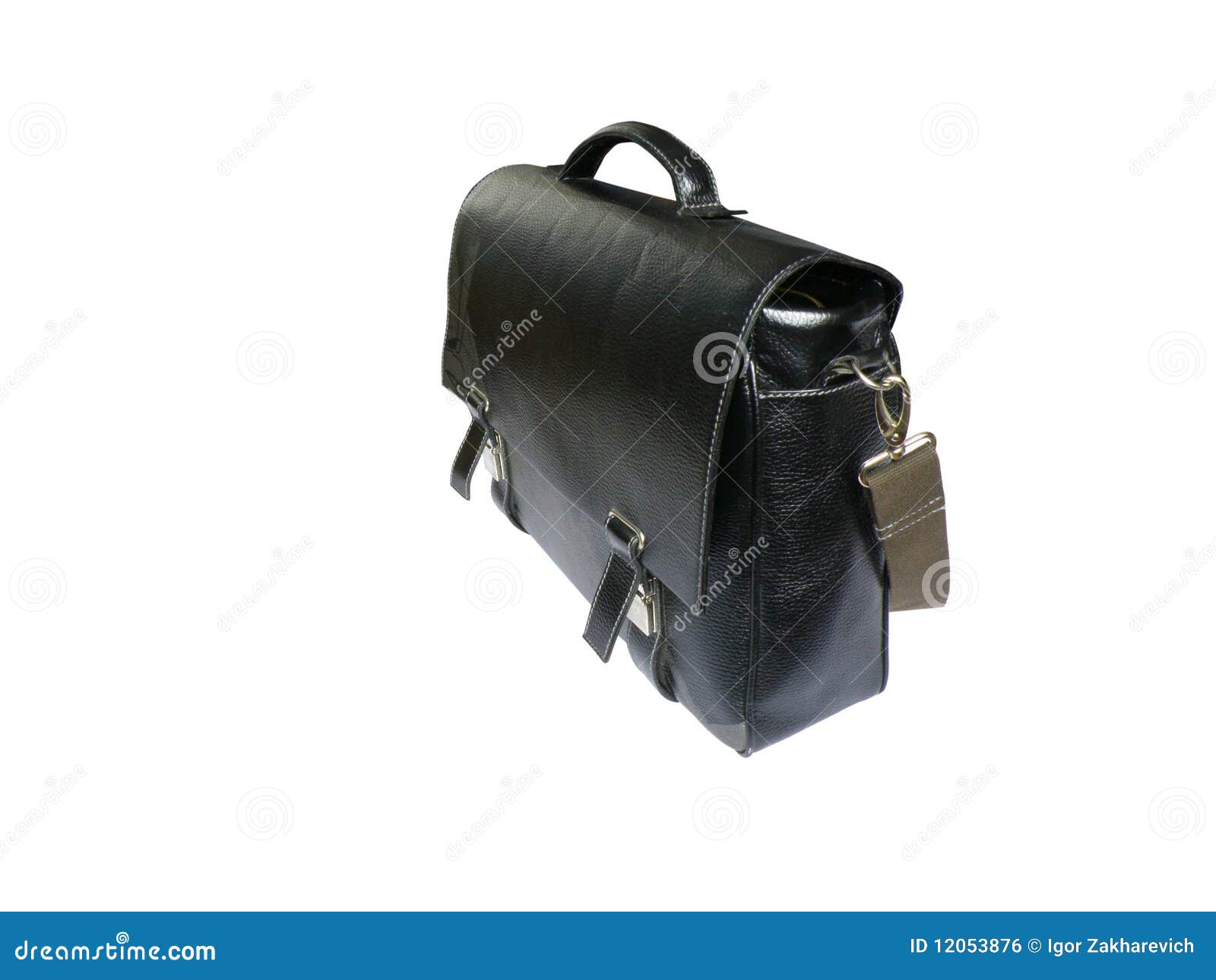 Business case stock photo. Image of case, manager, concepts - 12053876