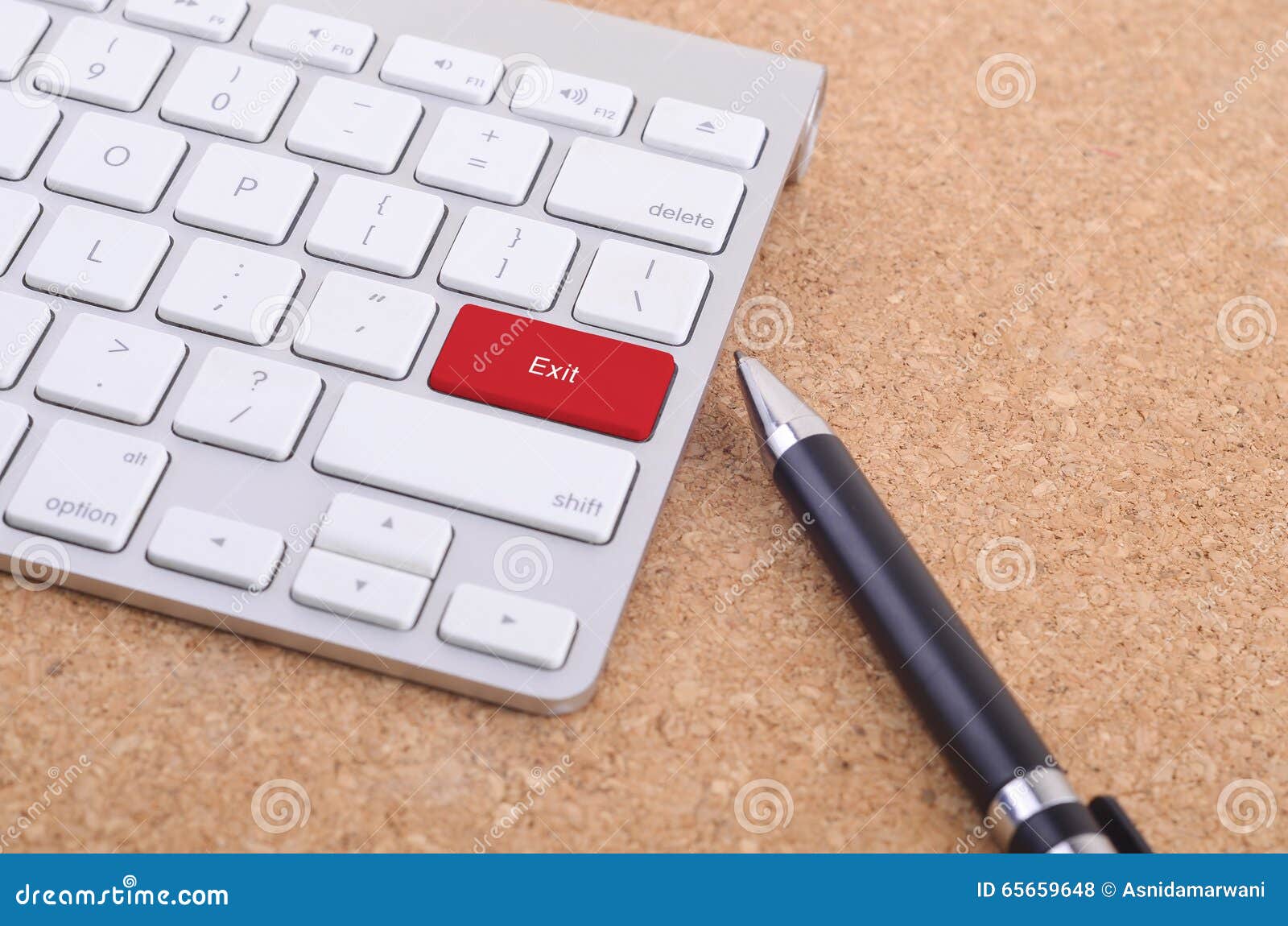 Word Exit On The Road Written With White Paint To Show People Where To ...