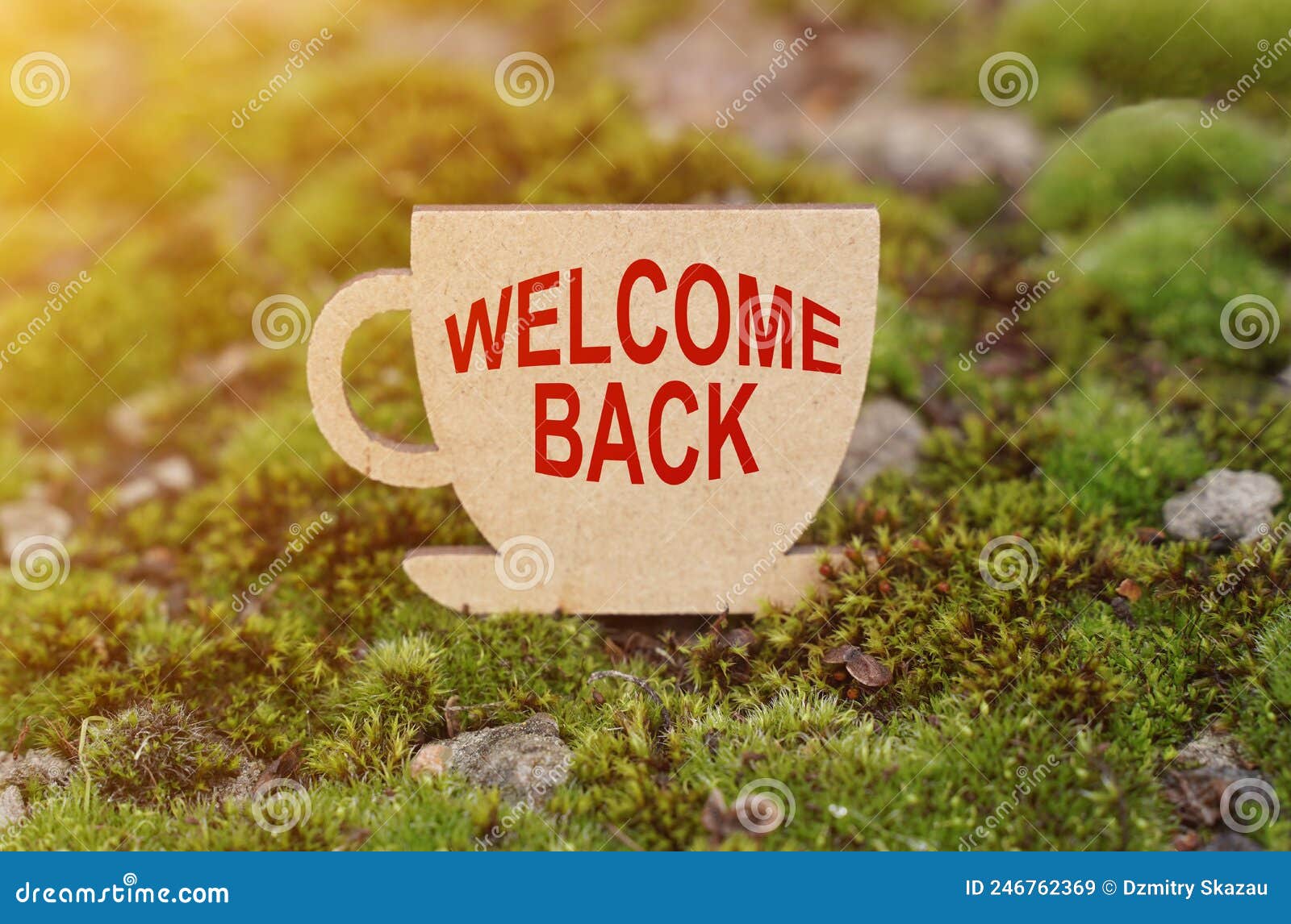 On the Moss in the Rays of the Sun, a Cup with the Inscription ...