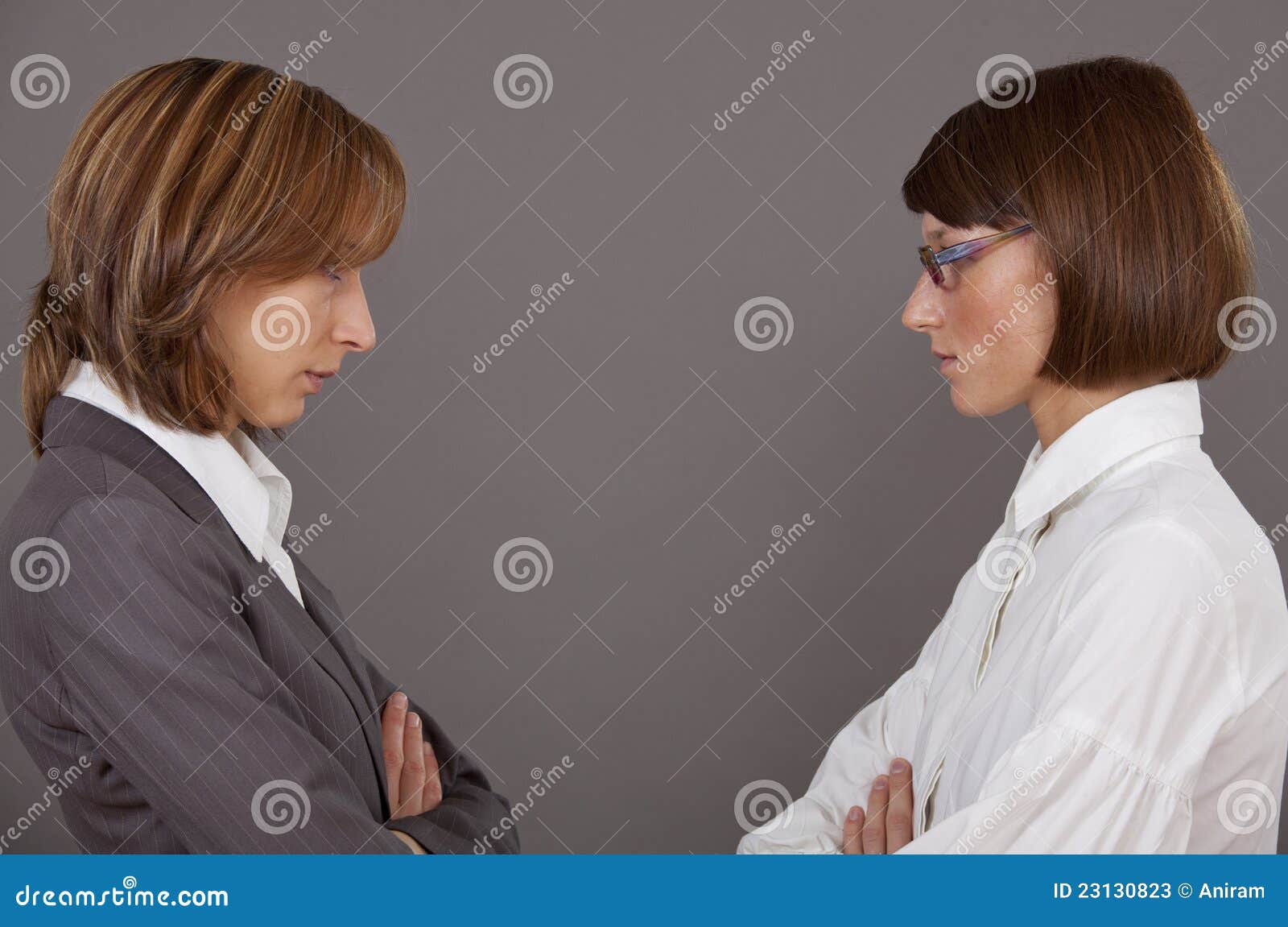 Business confrontation stock image. Image of office, anger - 23130823