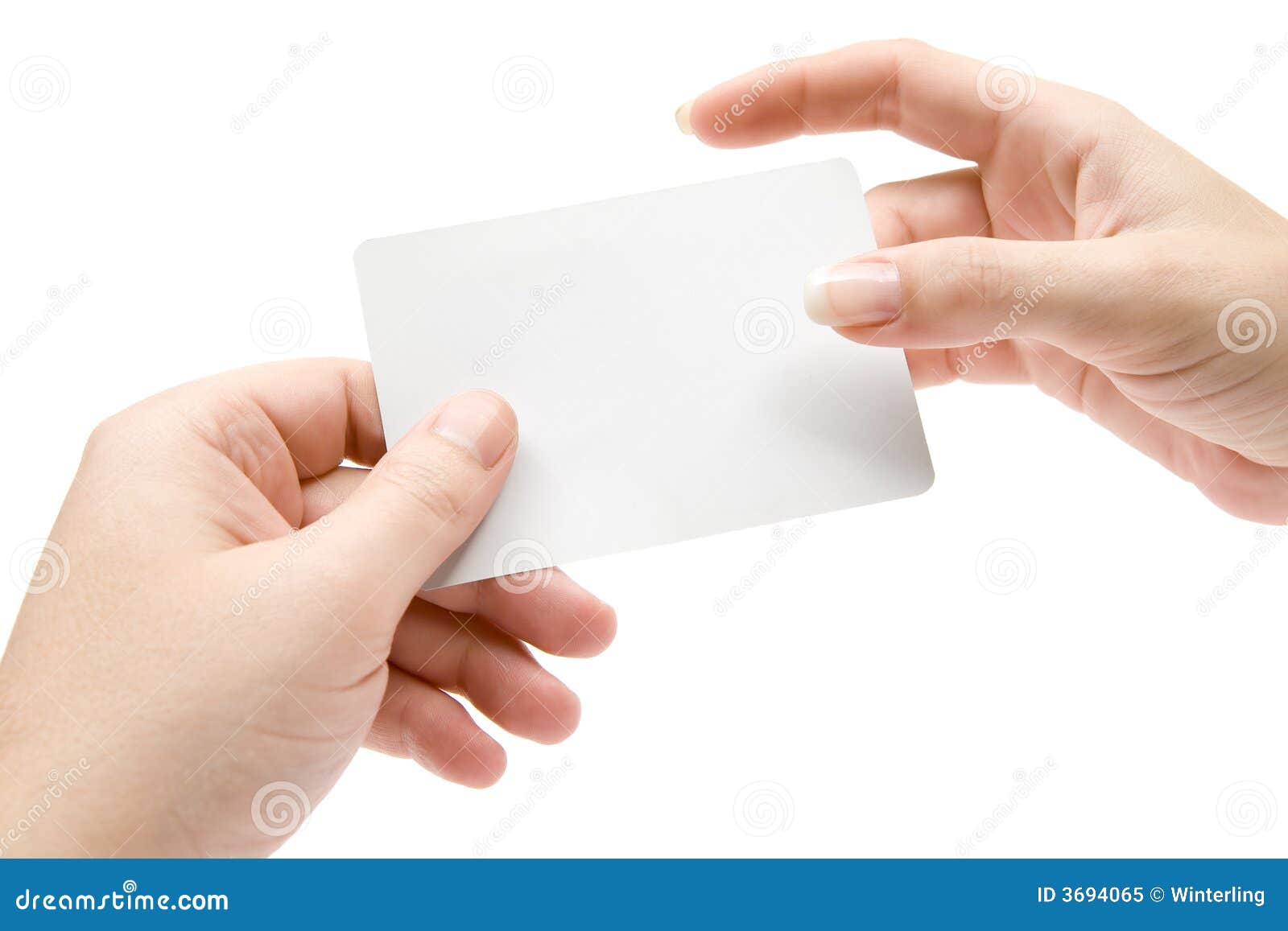 Business Contact stock image. Image of give, gestures - 3694065