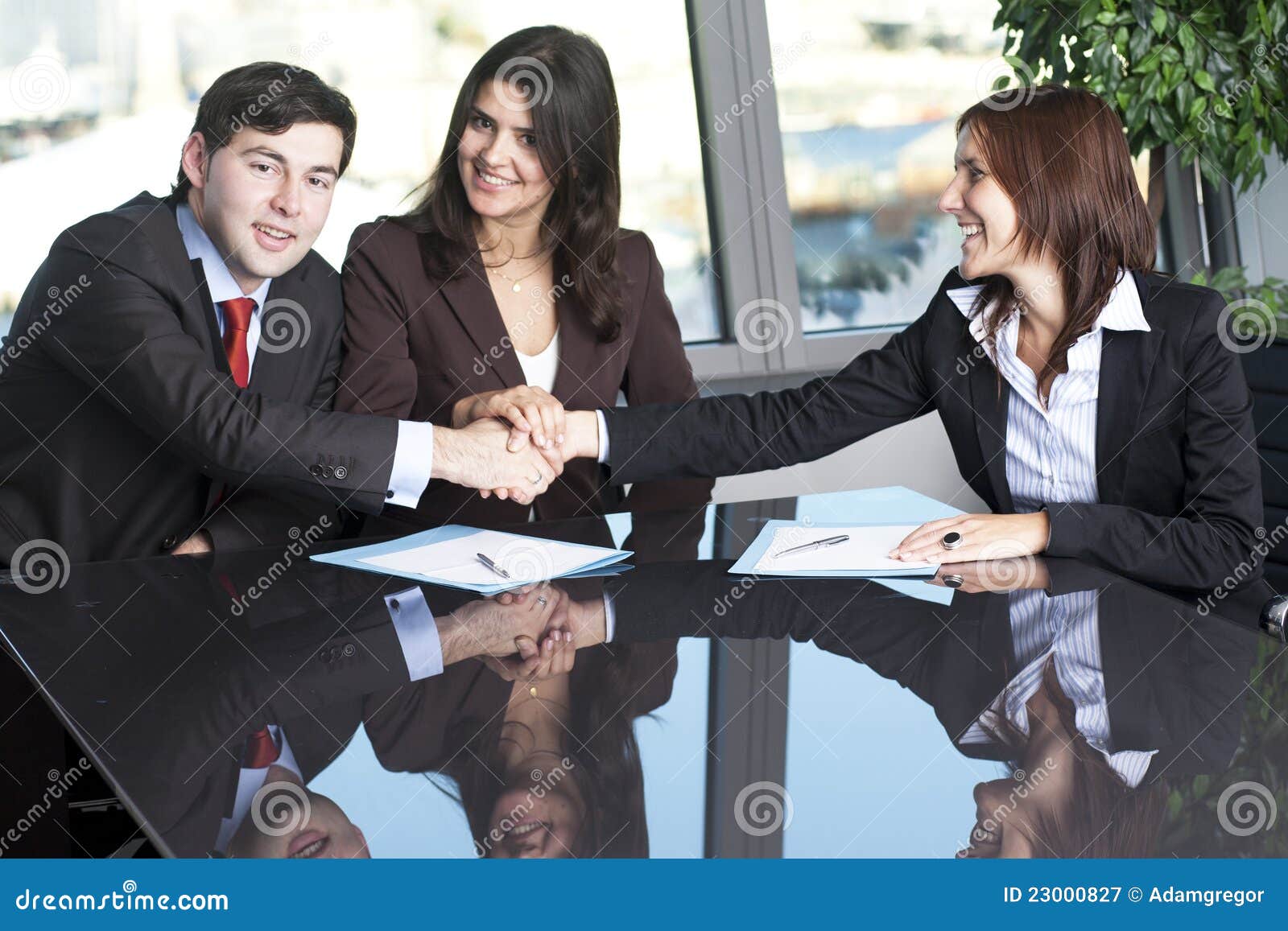 Business deal stock image. Image of handshake, businesswoman - 23000827