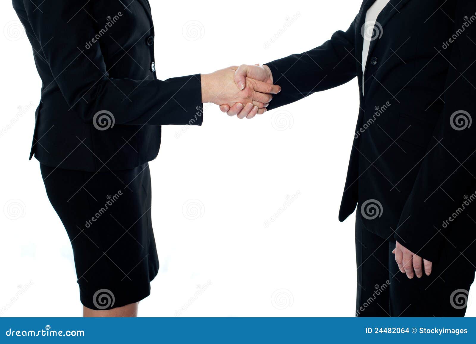 Business deal, handshake stock photo. Image of consultants - 24482064