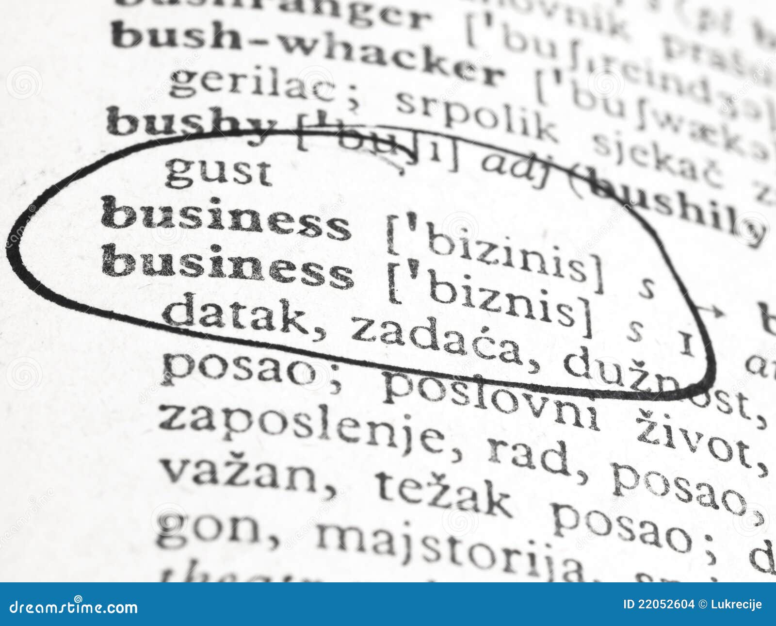 Business in the dictionary stock photo. Image of budgeting - 22052604