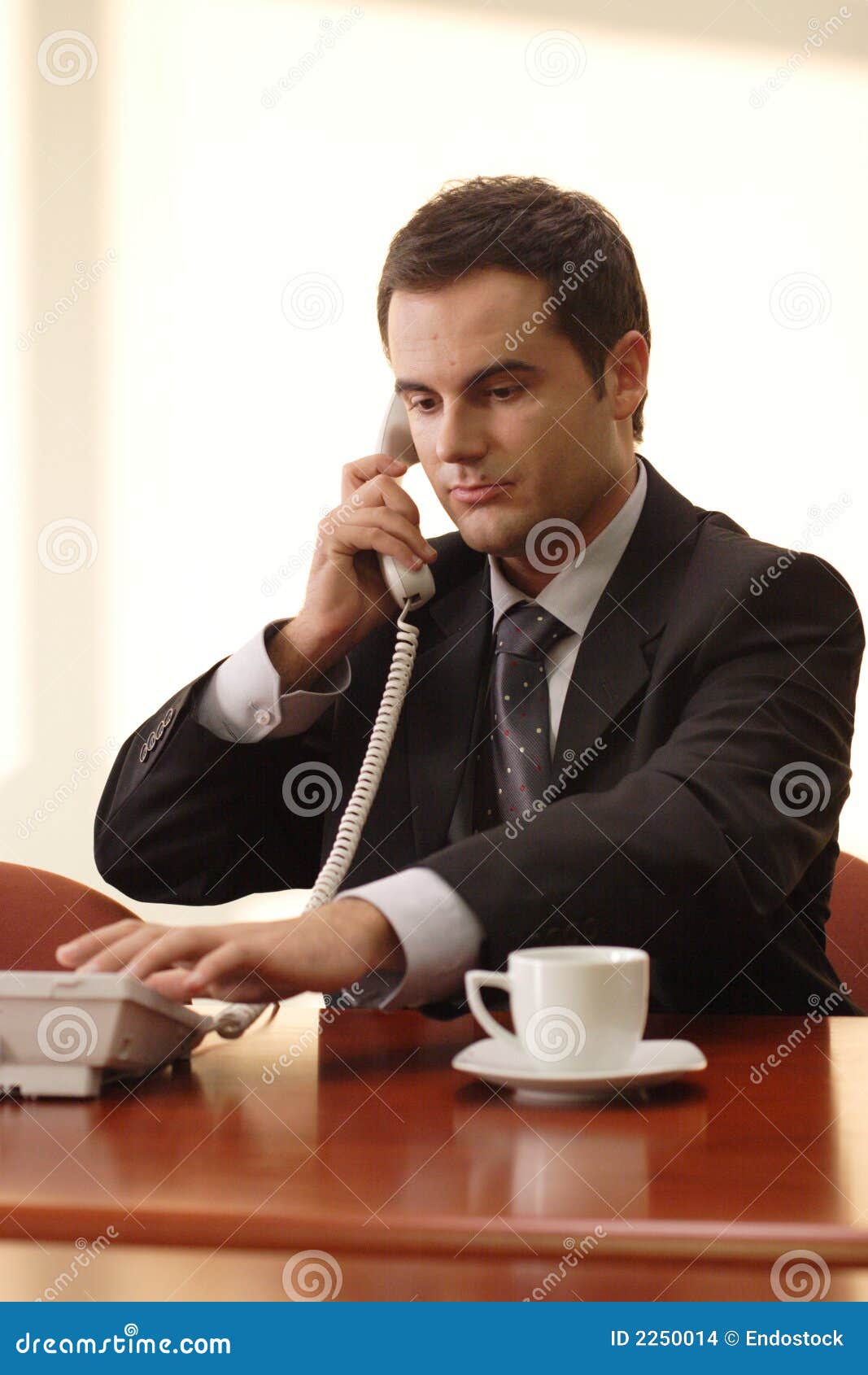 Business Executive on Phone Stock Photo - Image of explanation, phoning ...