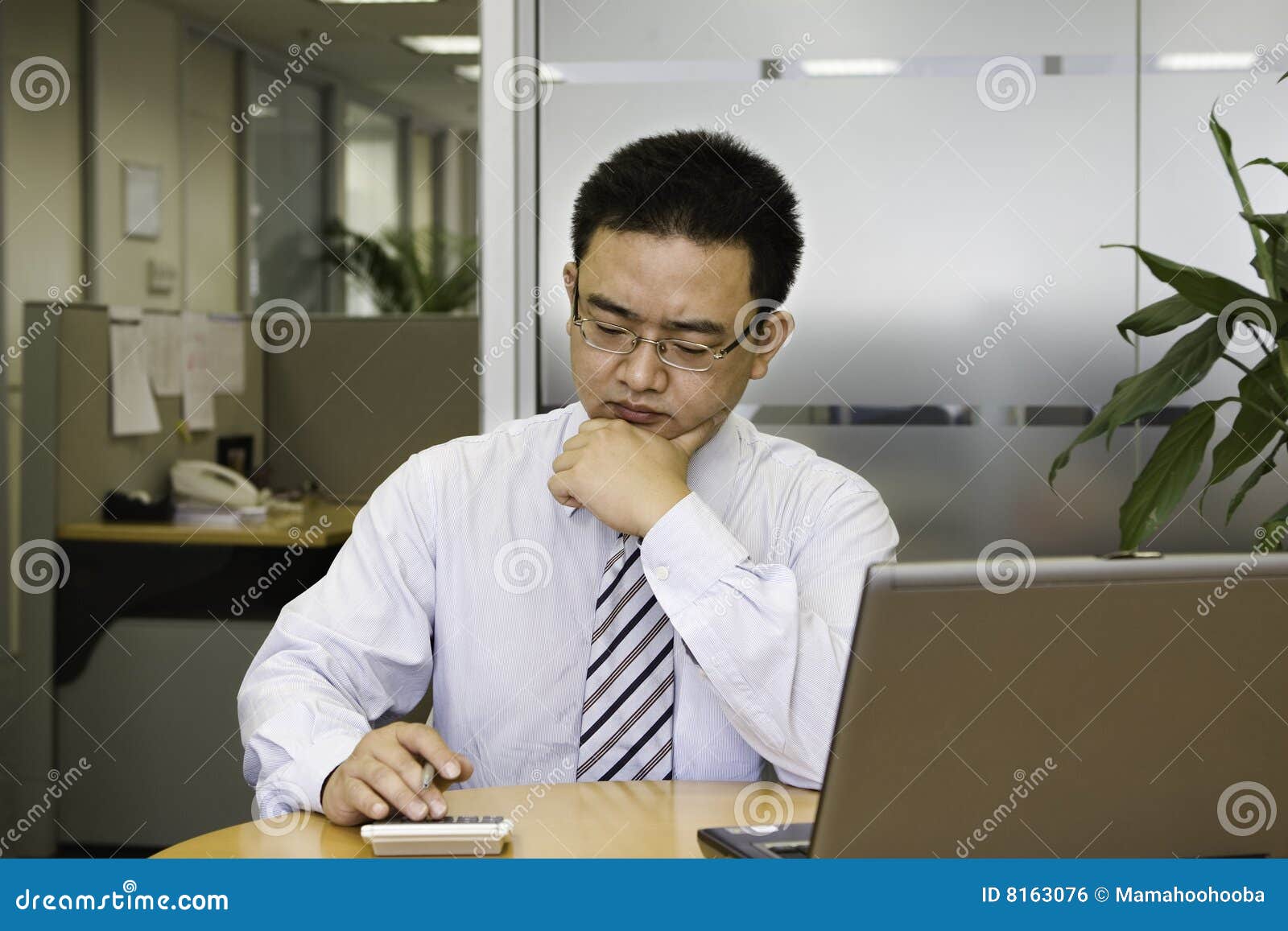 Business executive at work stock photo. Image of glasses - 8163076
