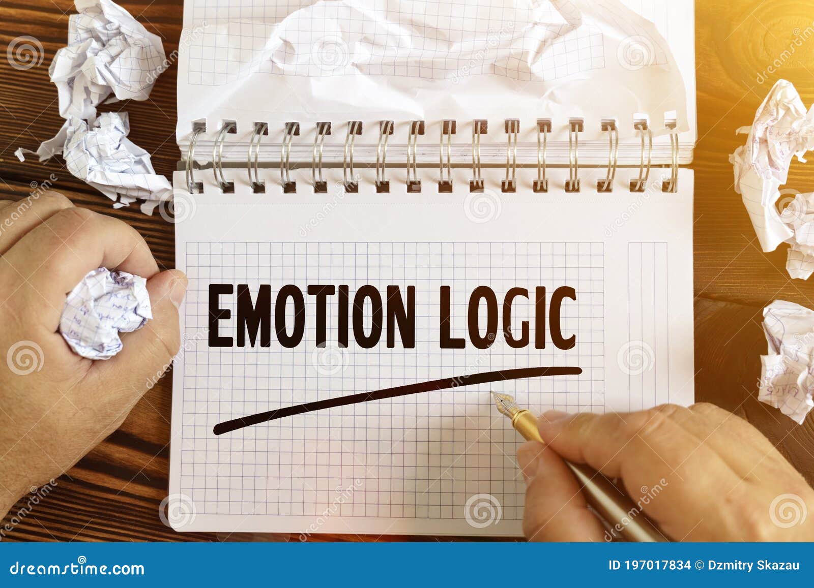 Emotion And Logic Words Written On Papers On A Tree With Arrow Signs ... Emotion And Logic Words Written On Papers On A Tree With Arrow Signs ...