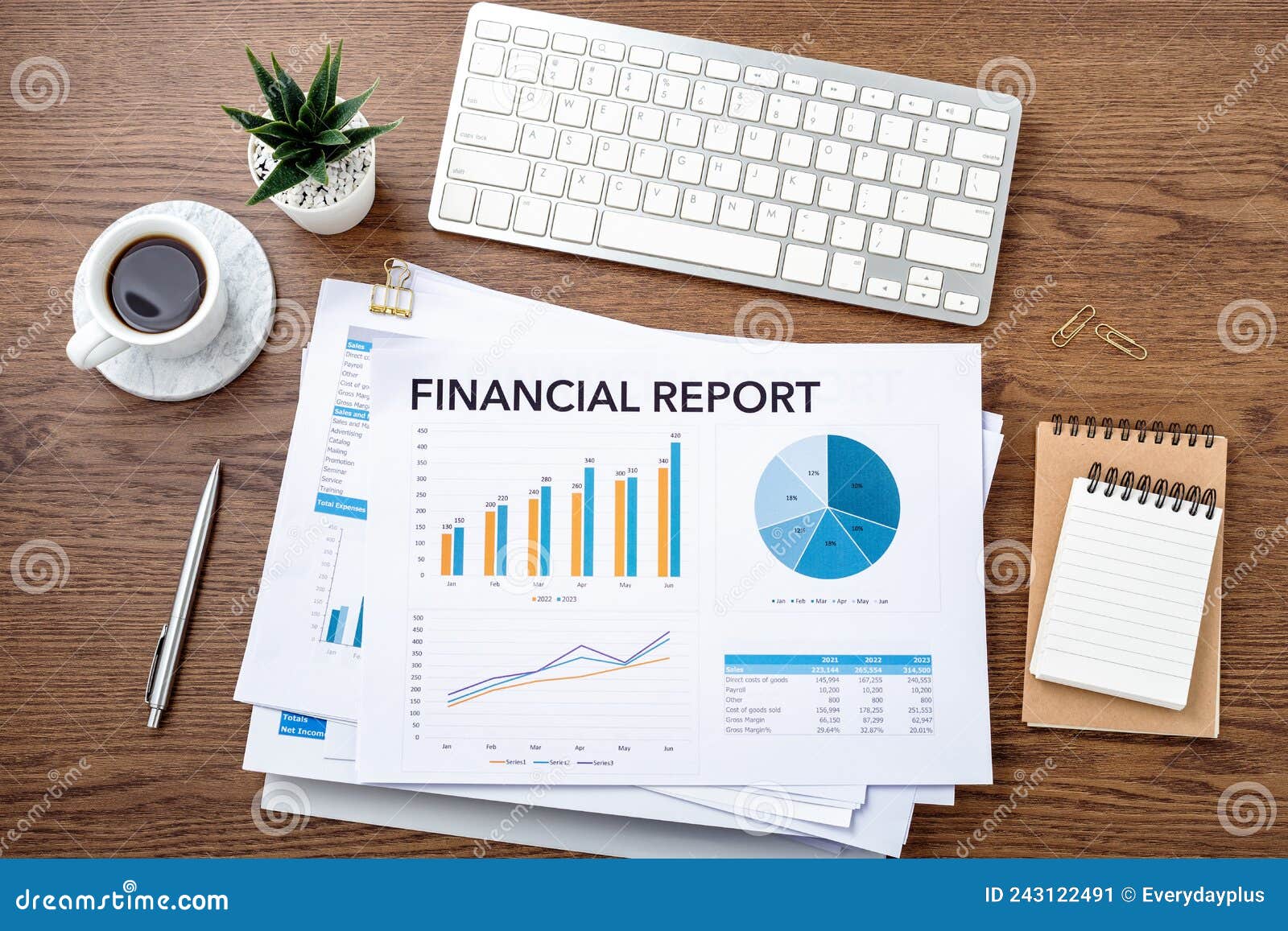 Business Financial Report, Stack of Chart Graph and Accounting Data ...