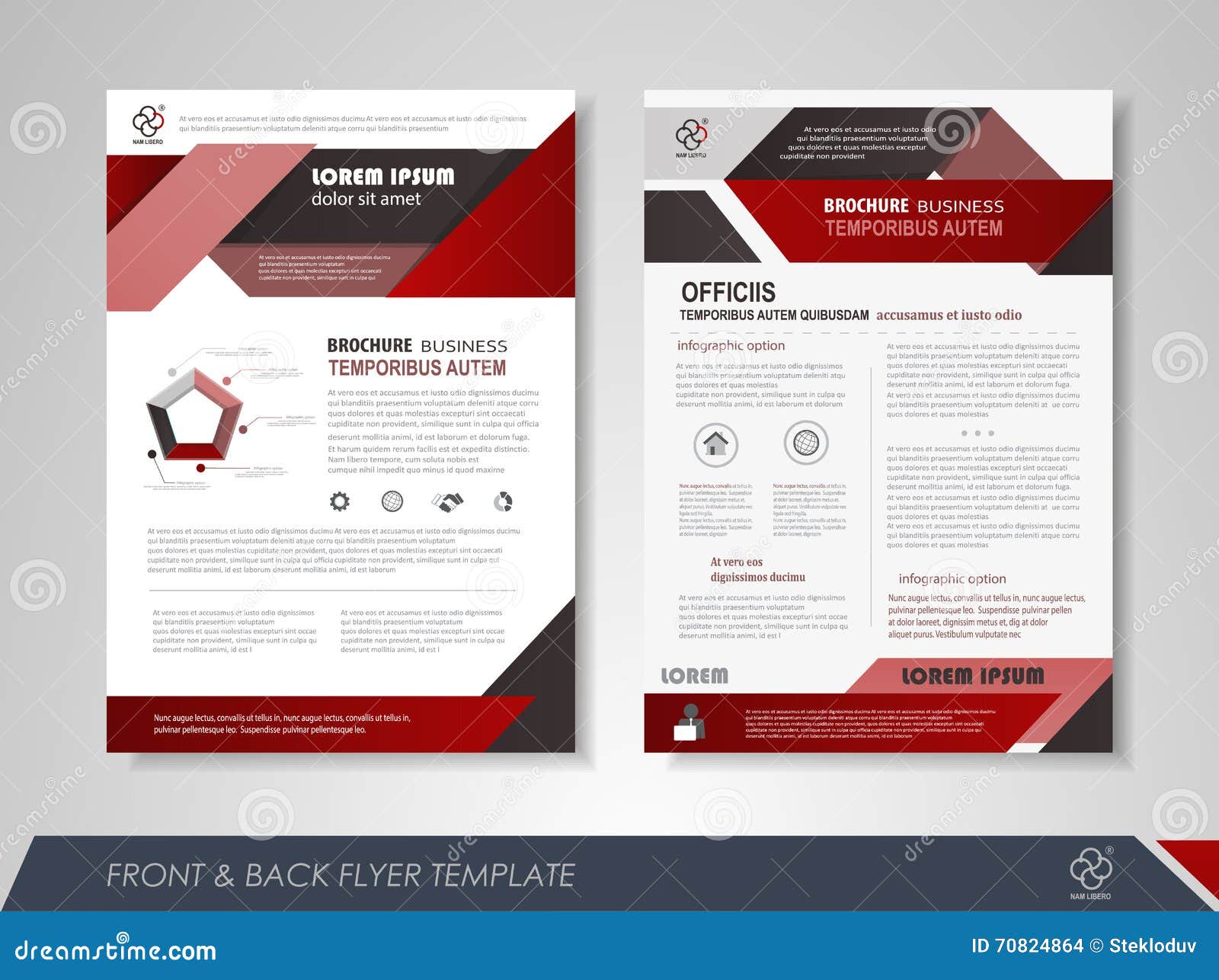 Business Flyer Presentation Stock Vector - Illustration of layout ...