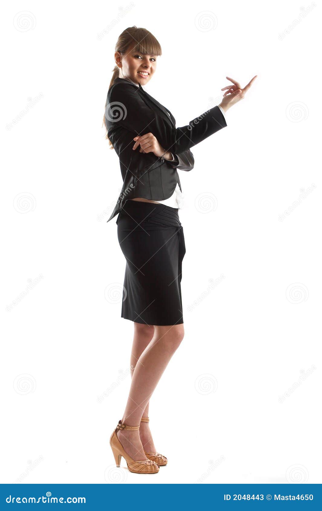 Business Formal Pose stock image. Image of corporate, project - 2048443